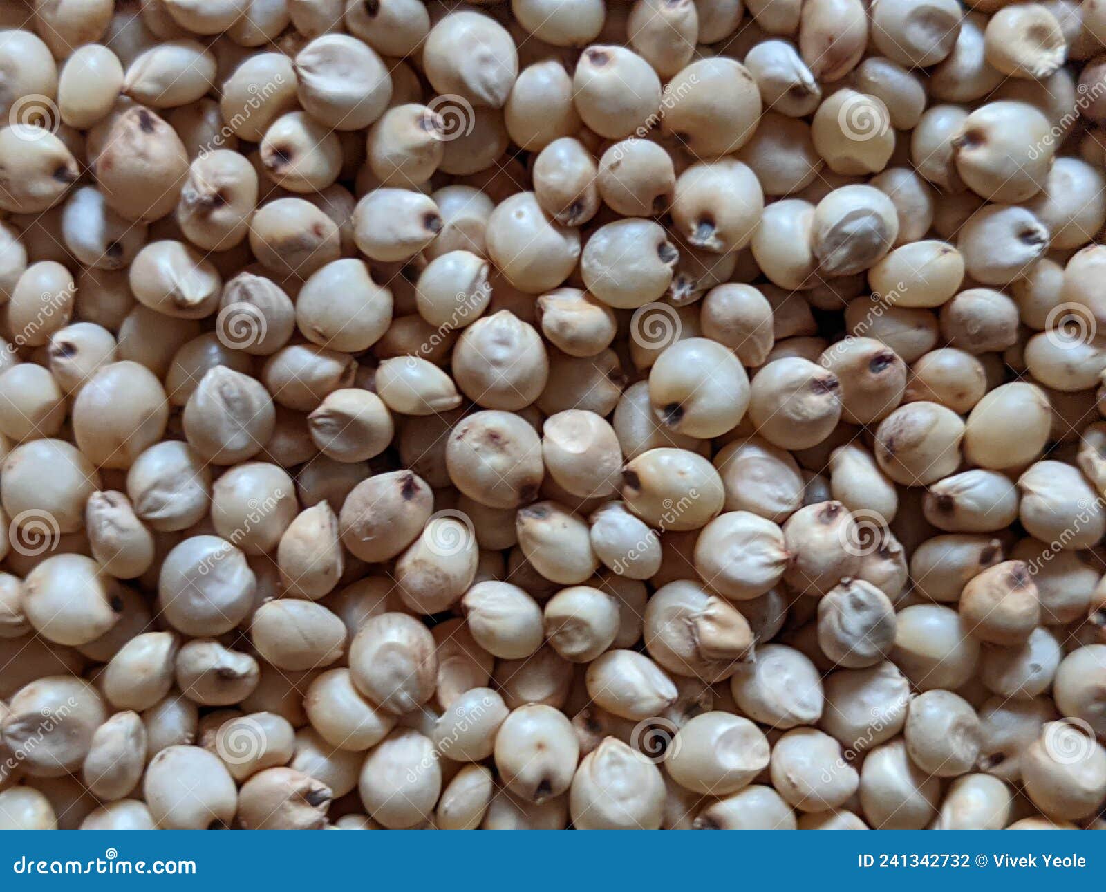 Organic Jawar Seeds Isolated On White Background Royalty-Free Stock ...