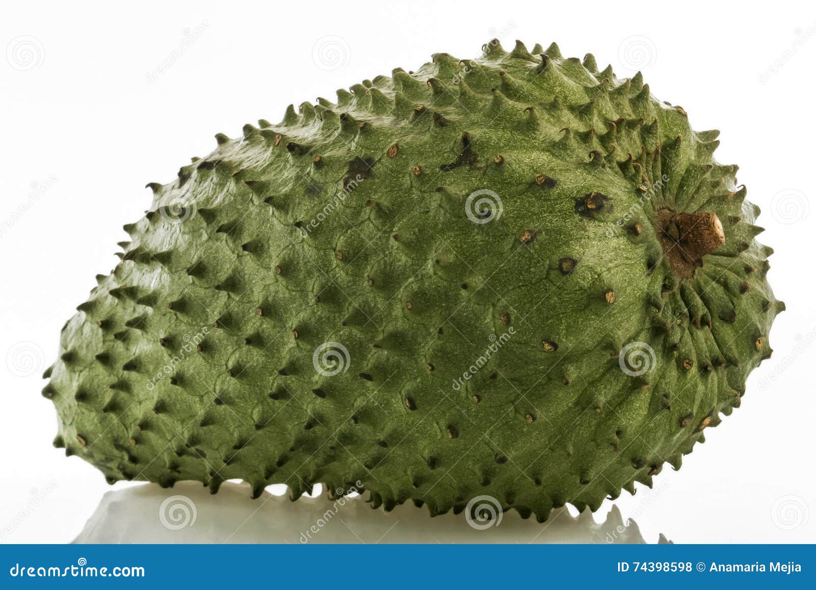Soursop (Annona muricata) stock photo. Image of exotic - 74398598