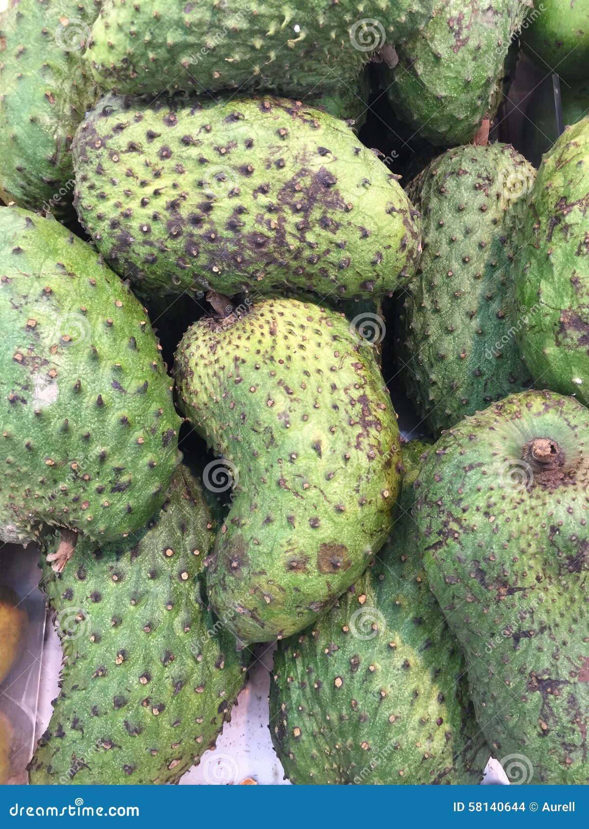 Soursop stock photo. Image of green, fresh, tropical - 58140644