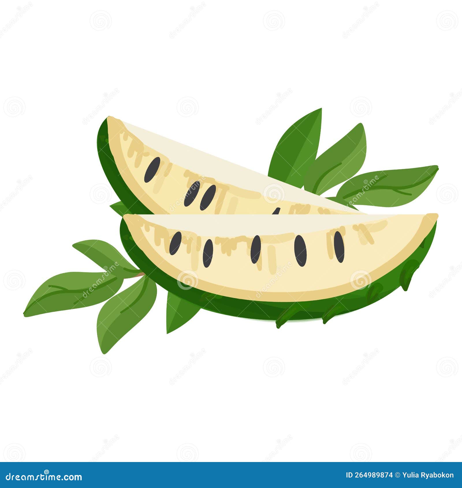 Soursop Tree Icon Cartoon Vector. Muricata Juice | CartoonDealer.com ...