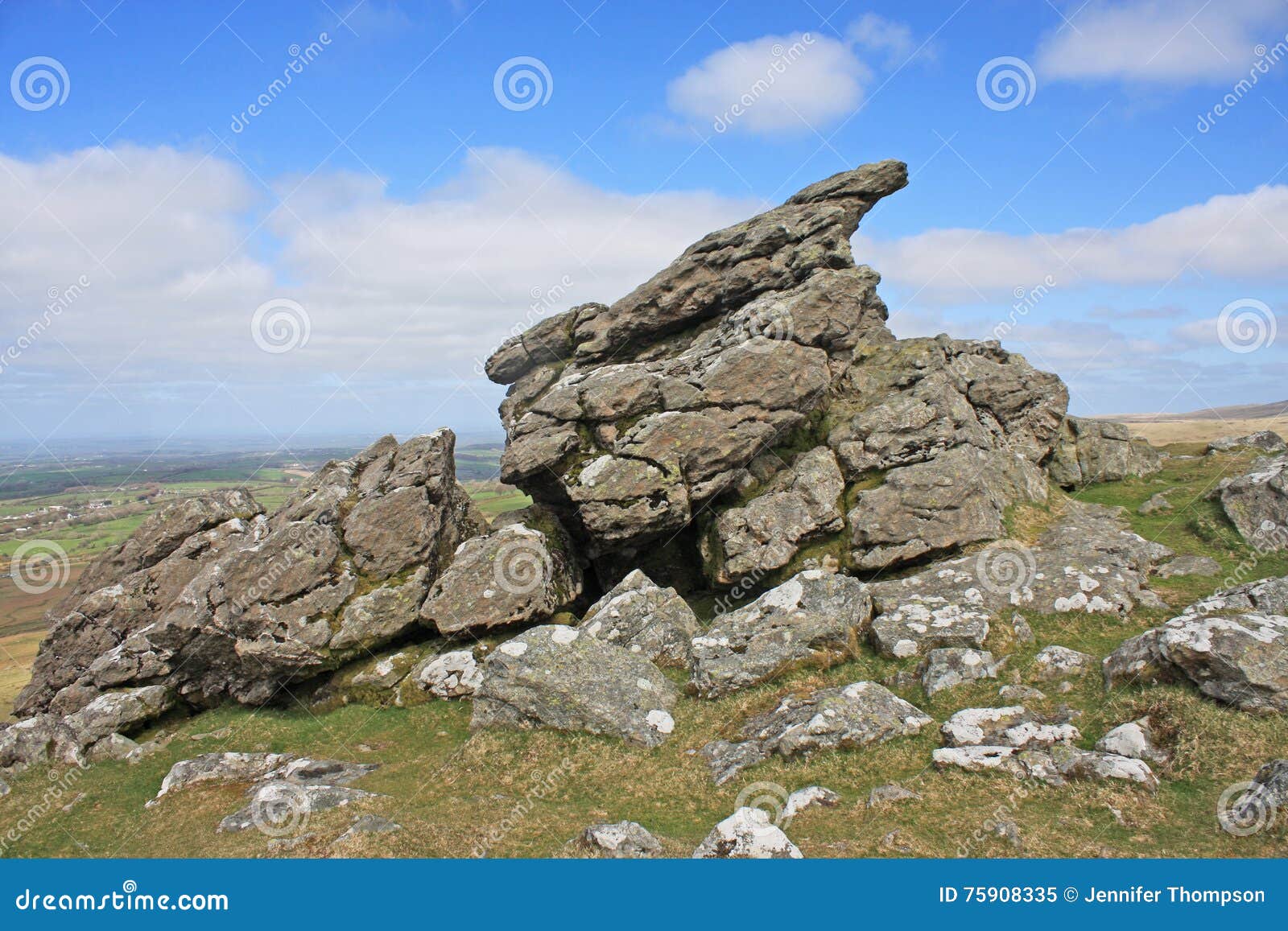 Sourton Tor, Dartmoor stock image. Image of wild, field - 75908335