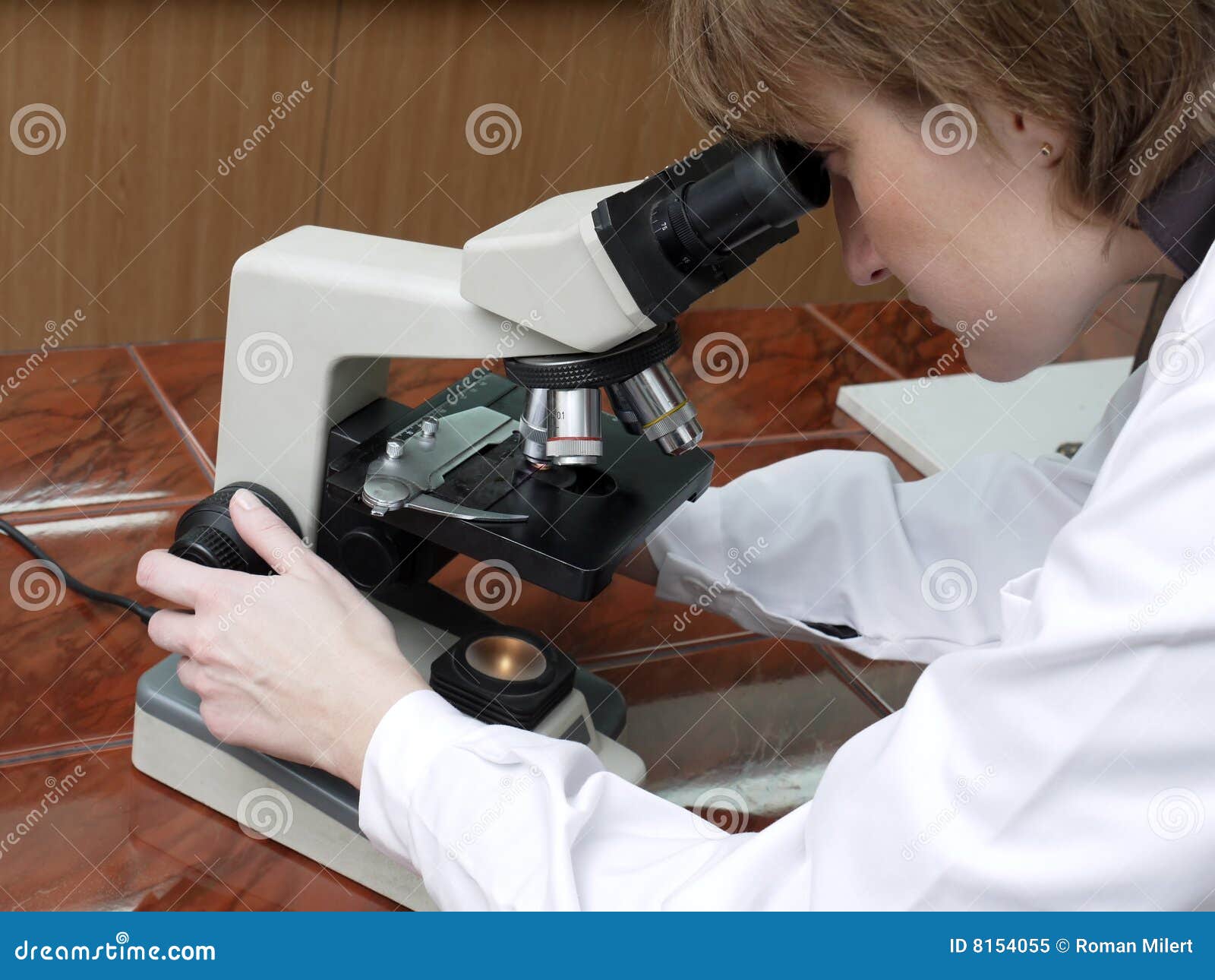 Sous le microscope image stock. Image du médecine, microscopie - 8154055