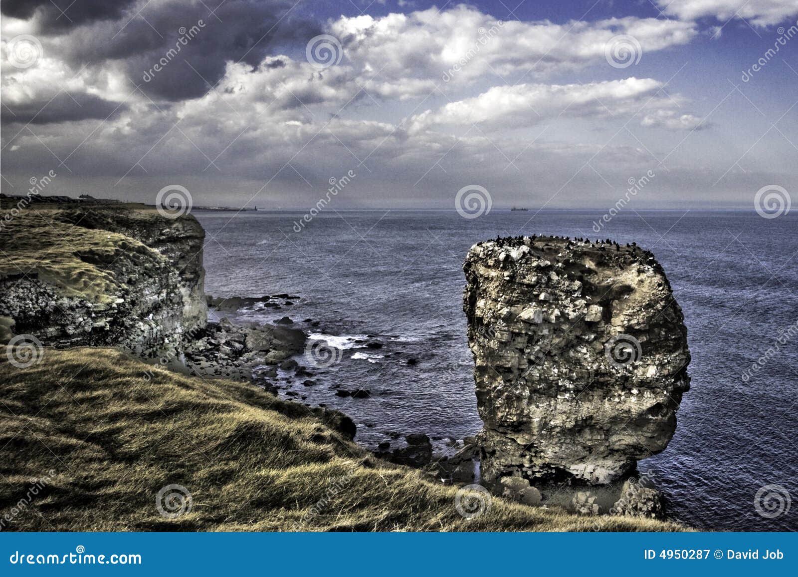 Souter Lighthouse Coastal View Stock Image - Image of shag, marsden ...