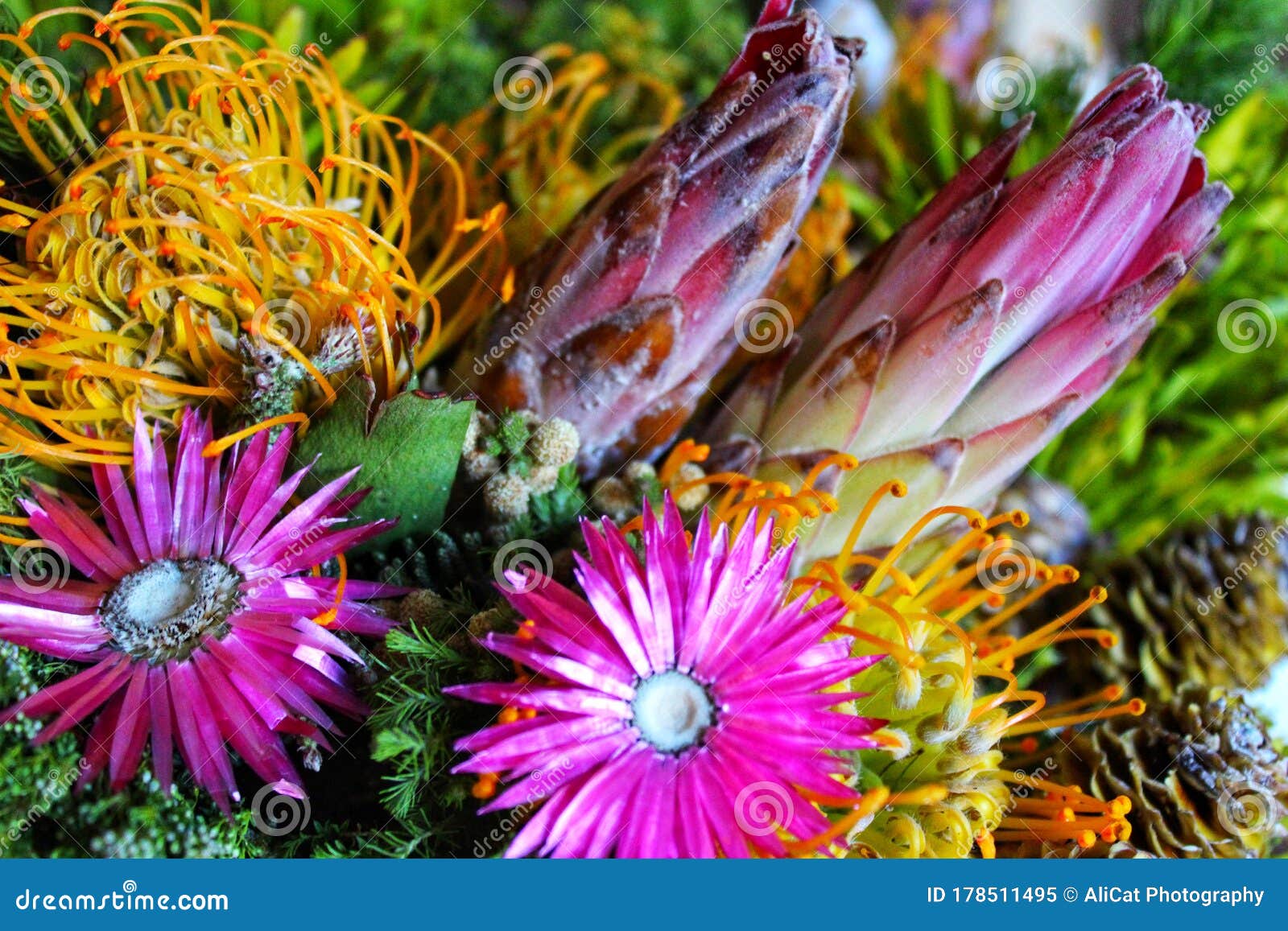 South-African Flower Bouquet Stock Image - Image of produce, autumn ...