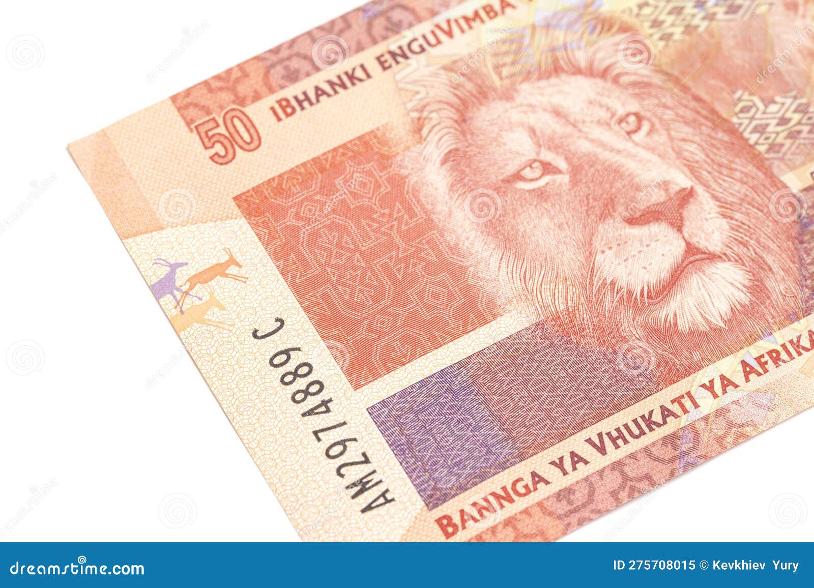 South African Money 50 Rand Banknote Stock Image - Image of black, cash ...