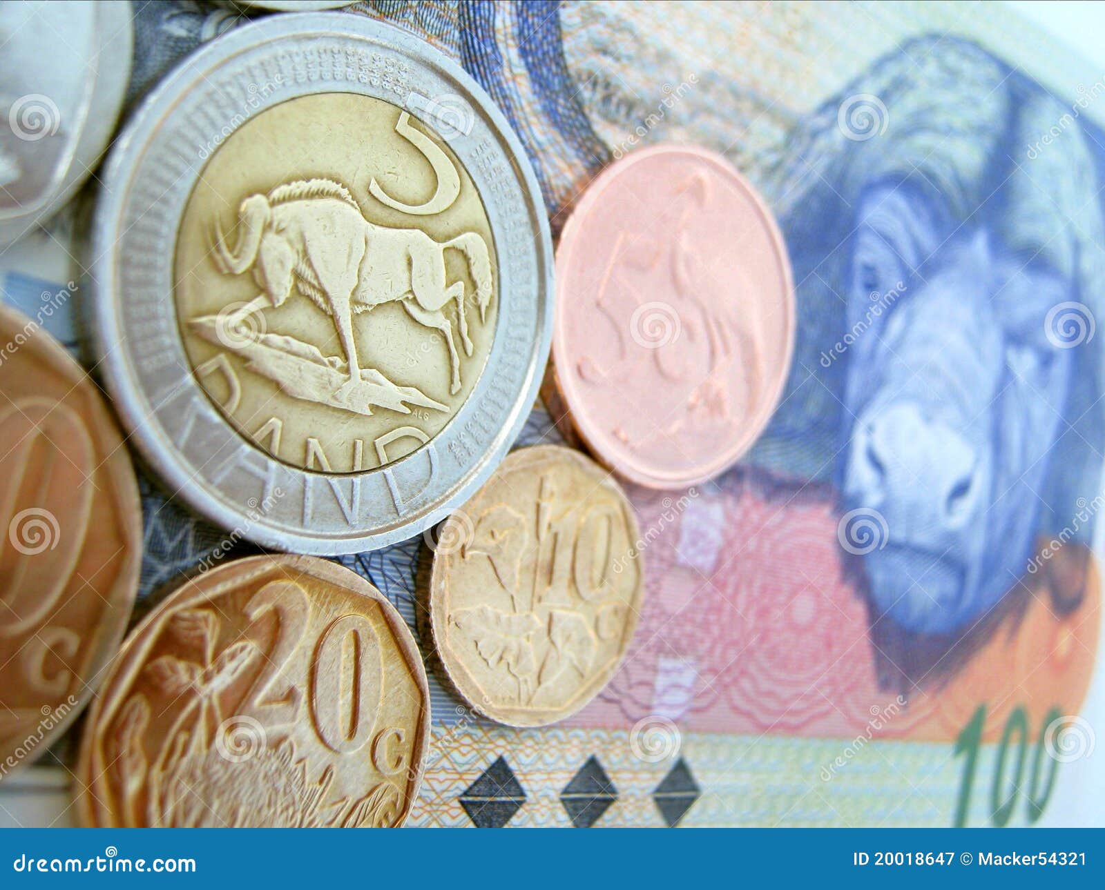 South African Rands stock image. Image of finance, notes - 20018647