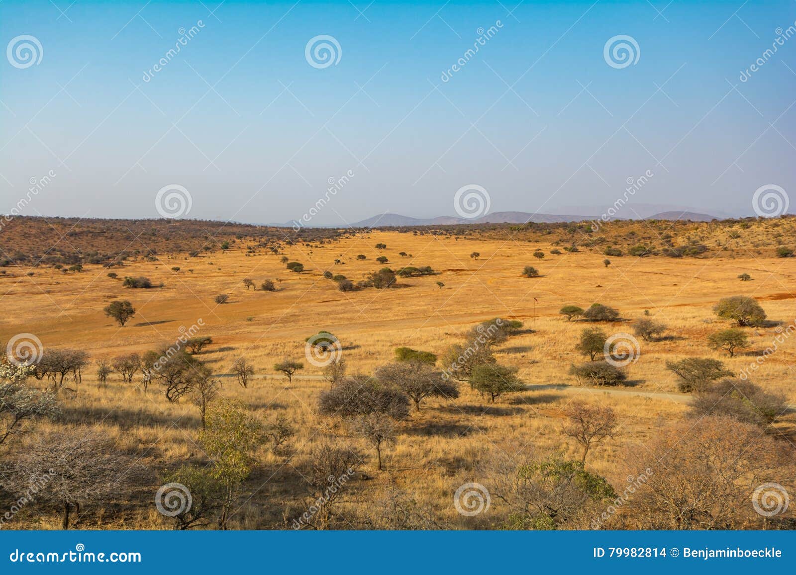 South African Veld Region stock photo. Image of landscape - 79982814
