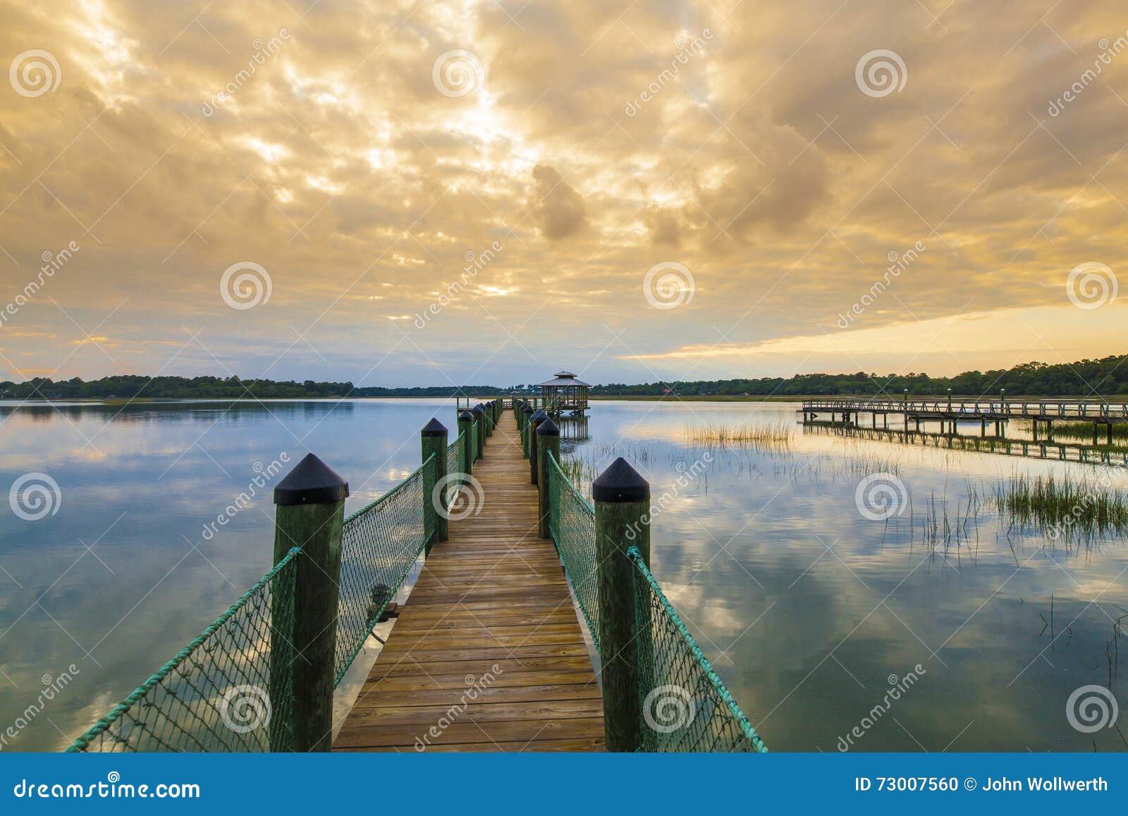 South Carolina Lowcountry stock photo. Image of estate - 73007560