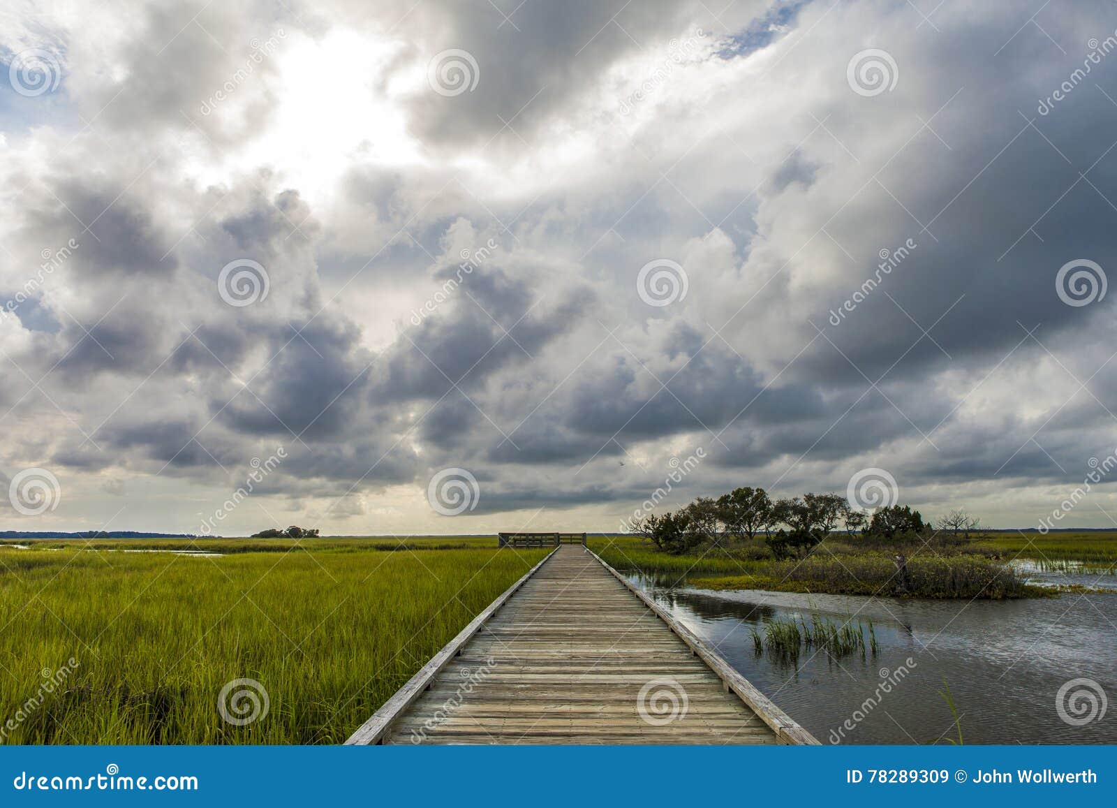 South Carolina lowcountry stock image. Image of carolina - 78289309