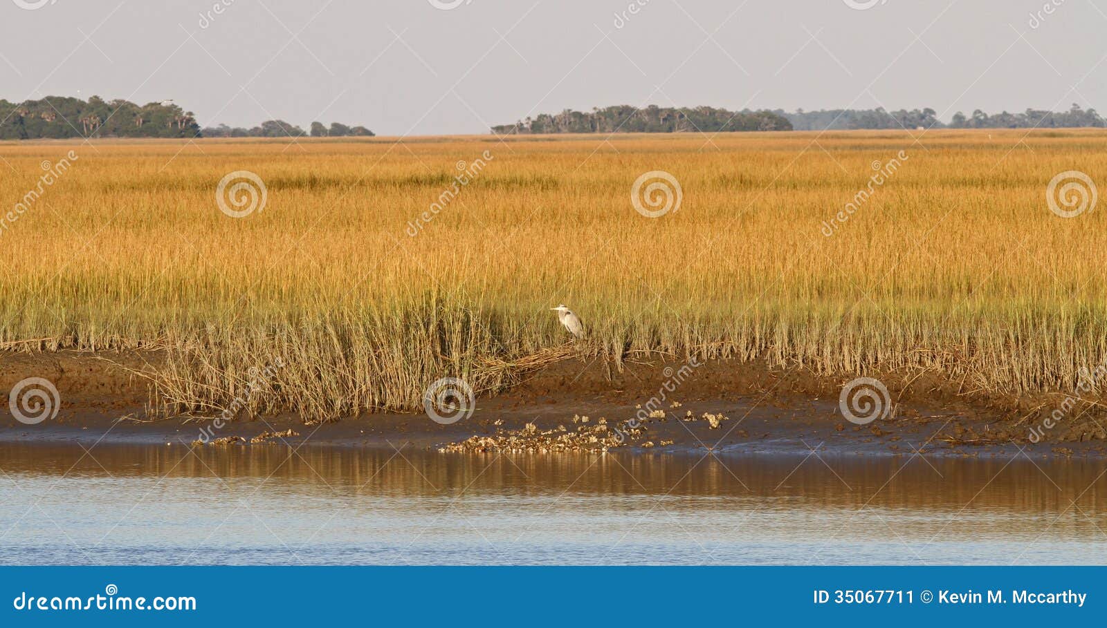 South Carolina Salt Marsh stock image. Image of country - 35067711