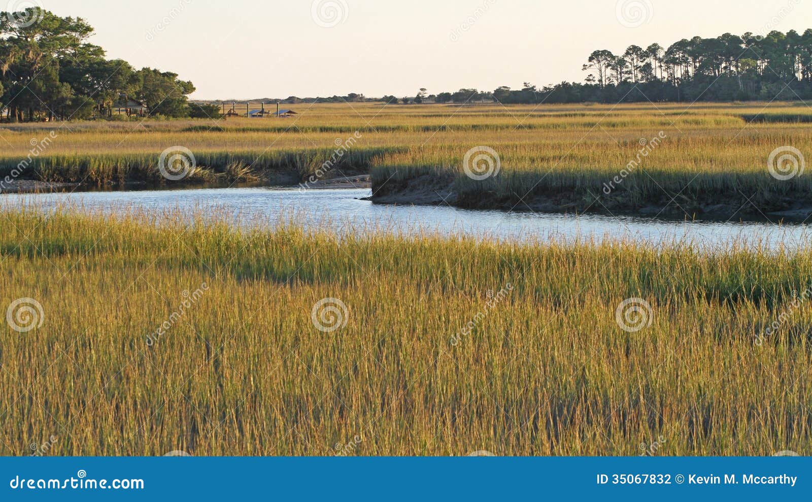 South Carolina Salt Marsh stock photo. Image of grass - 35067832