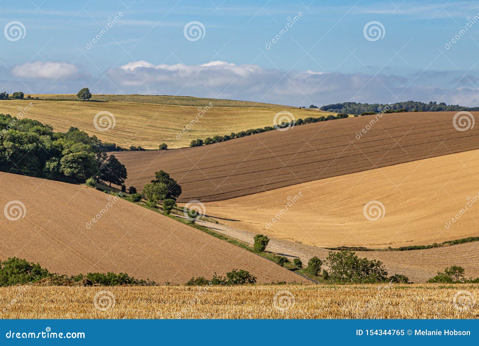 317 Patchwork Geography Stock Photos - Free & Royalty-Free Stock Photos ...