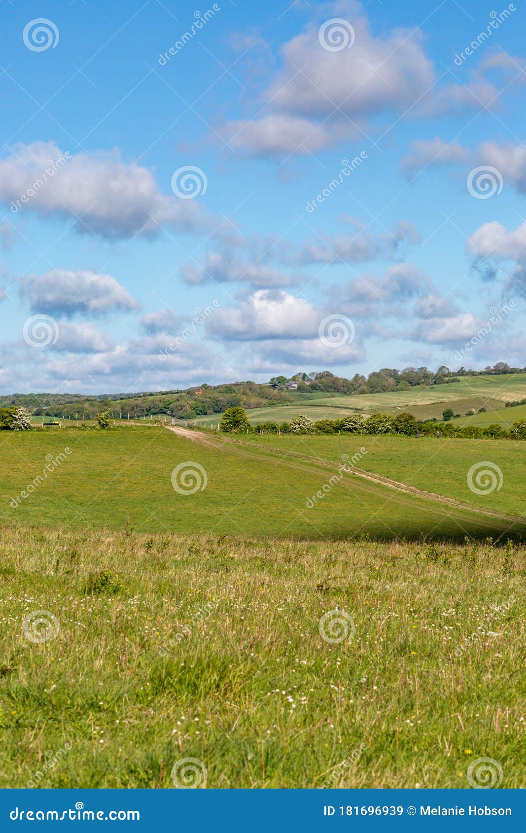 A South Downs Landscape stock image. Image of pretty - 181696939