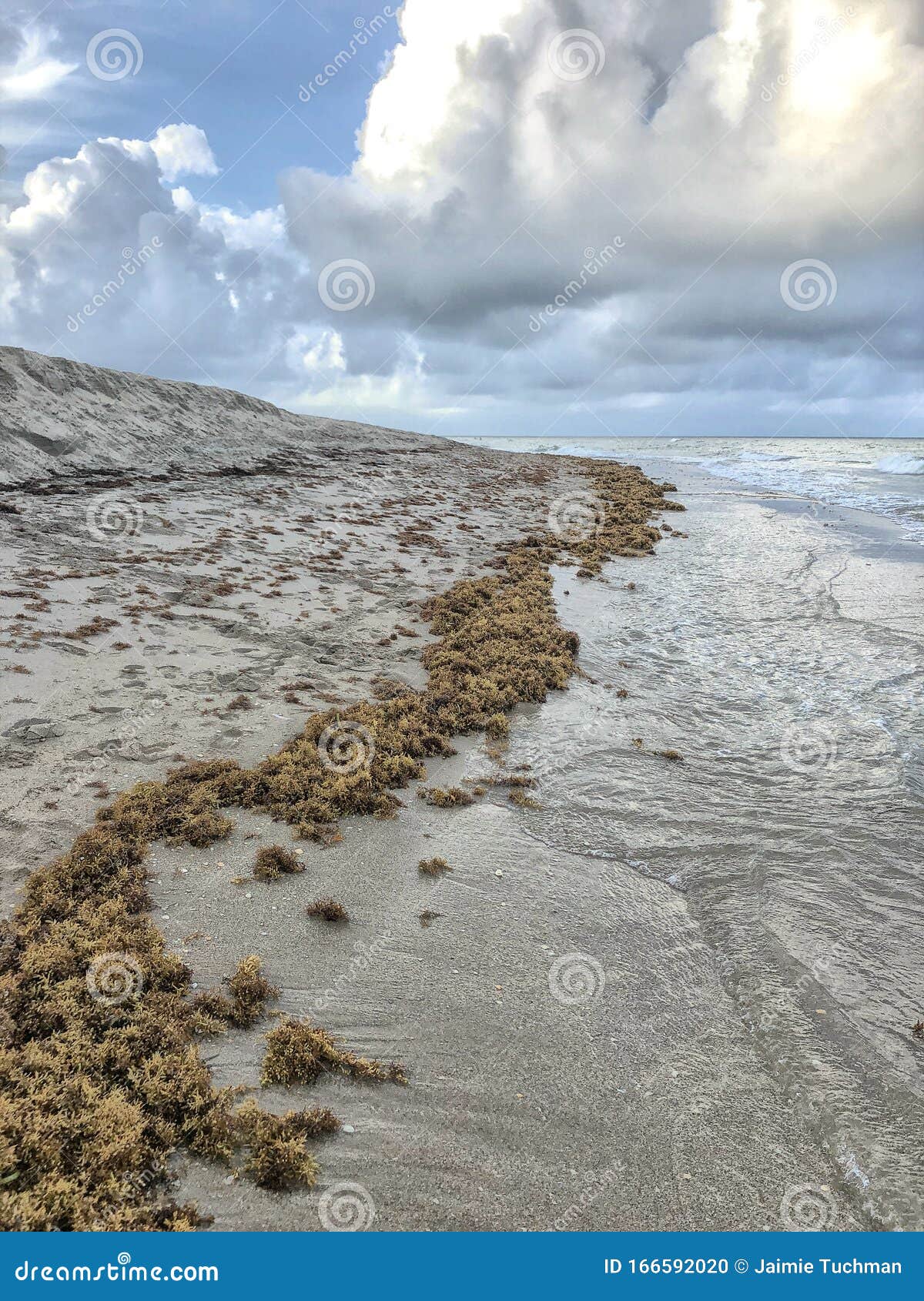 Erosion of Sand at the Beach in Florida Stock Photo - Image of lonely ...