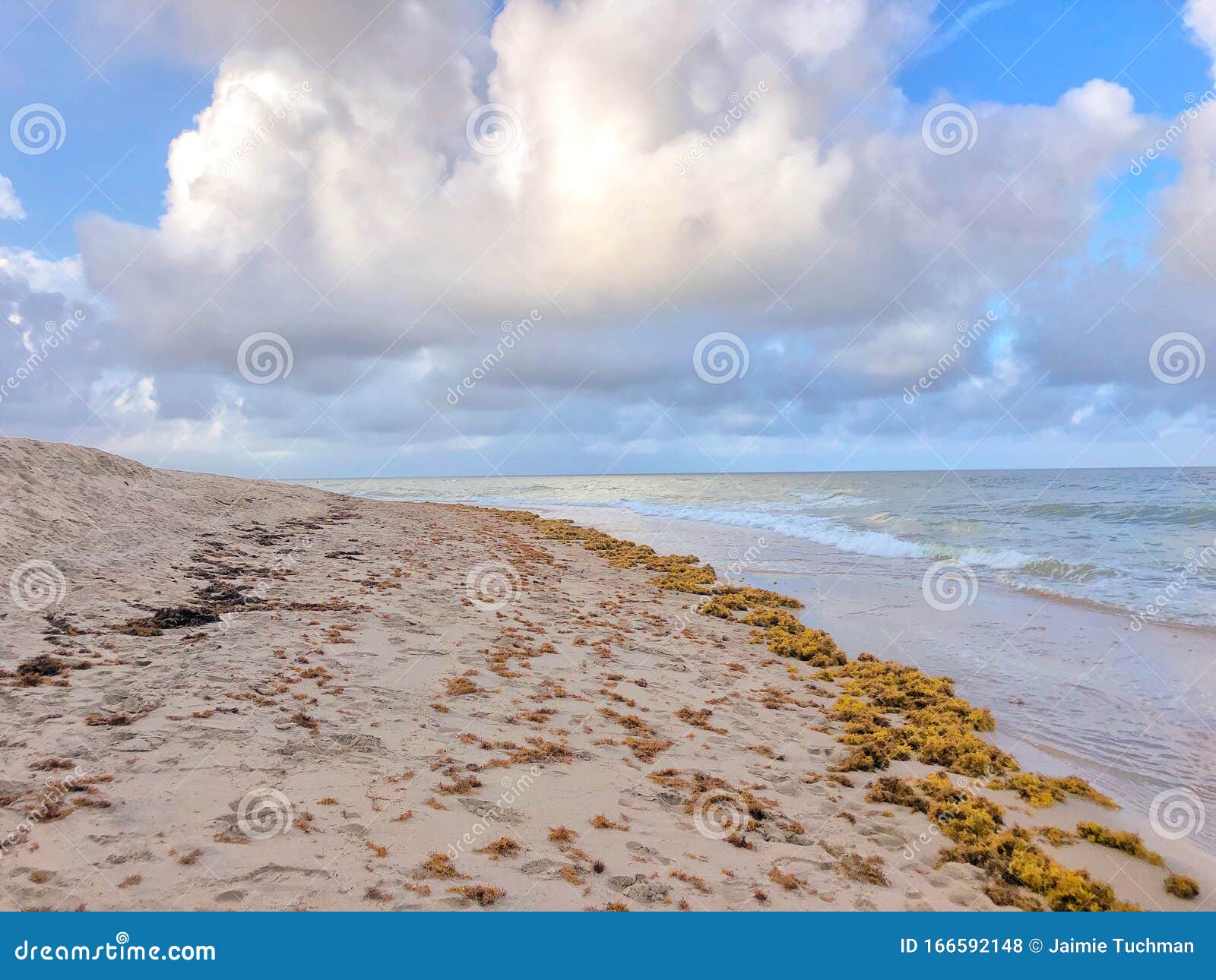 Erosion of Sand at the Beach in Florida Stock Photo - Image of nature ...