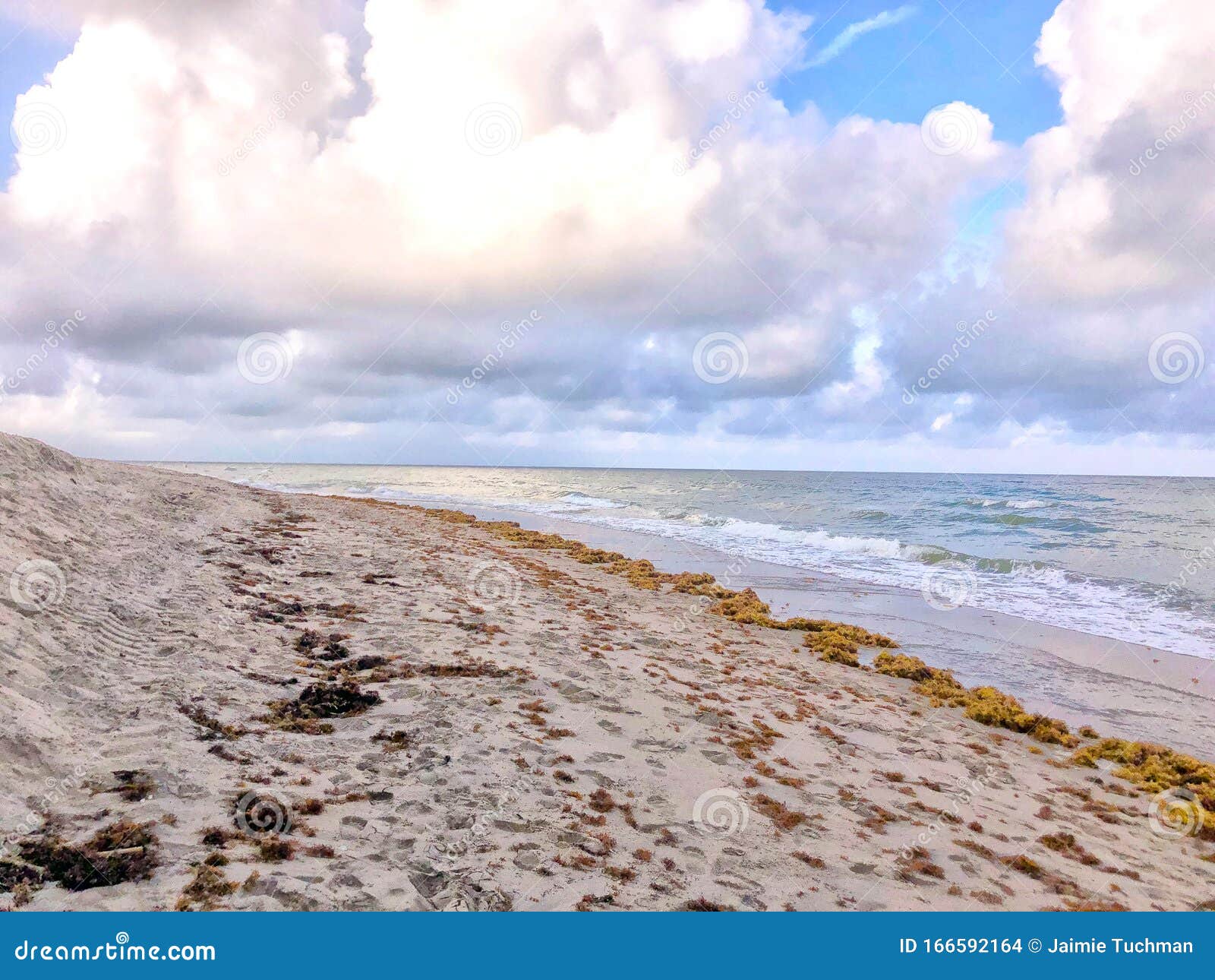 Erosion of Sand at the Beach in Florida Stock Photo - Image of palm ...