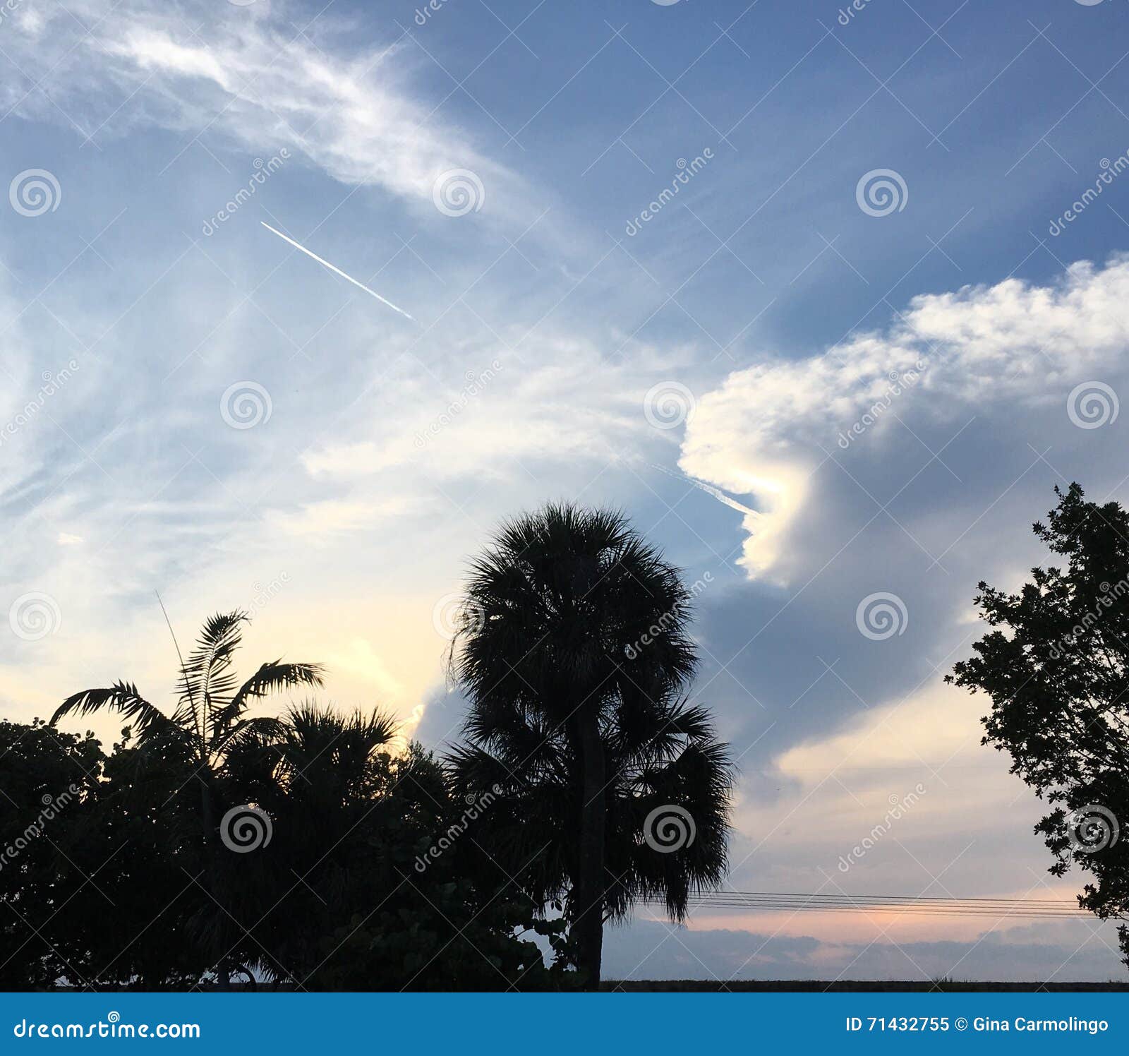 South Florida Sky in the Everglades Stock Image - Image of cloud, south ...