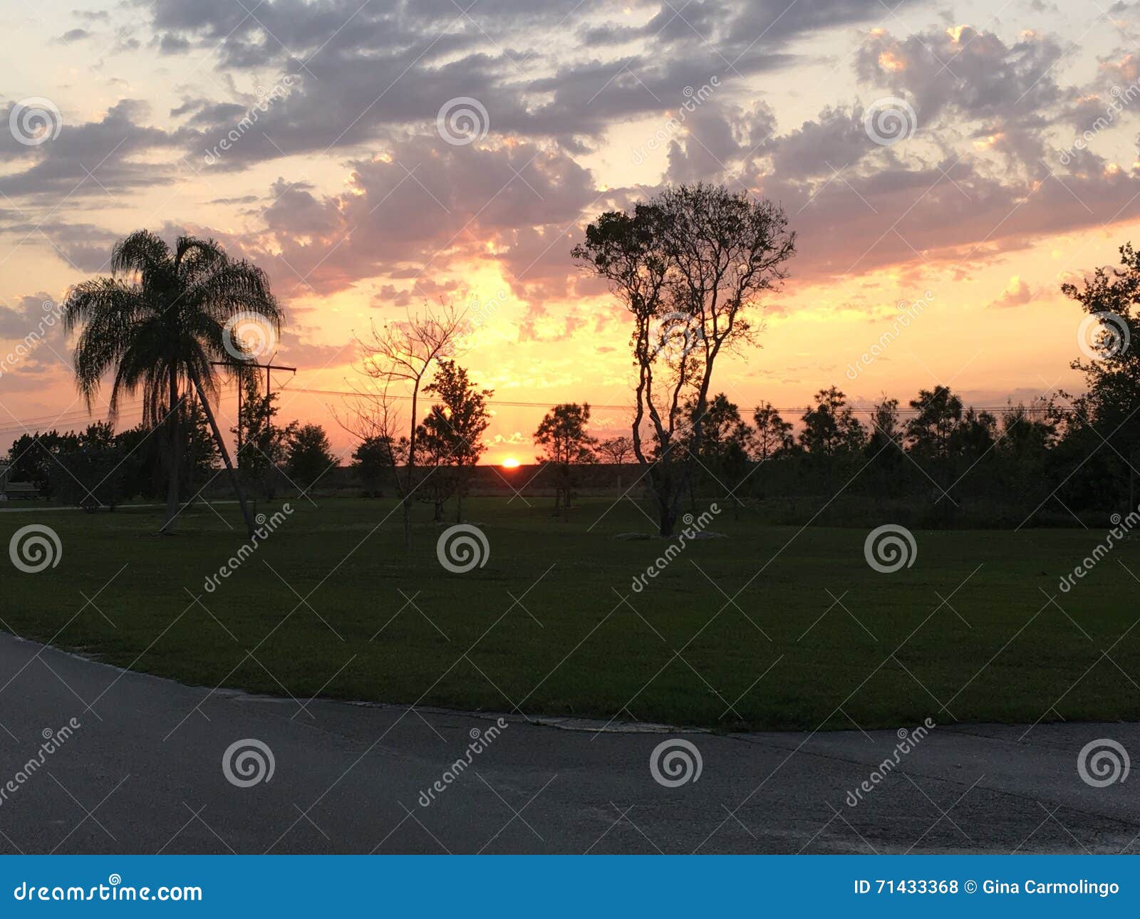South Florida Sky in the Everglades Stock Photo - Image of formation ...