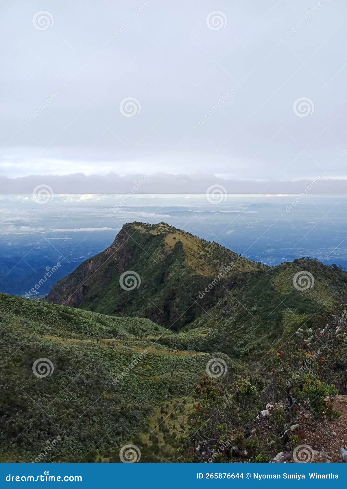 South side of mount lawu stock photo. Image of plateau - 265876644
