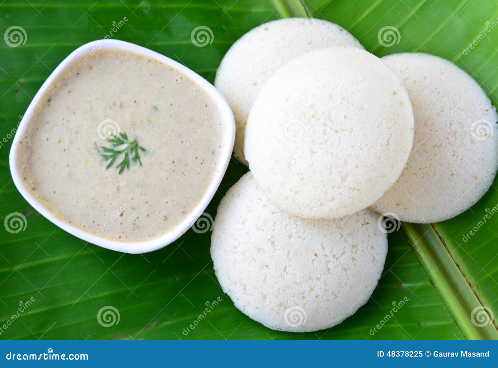 South Indian Breakfast-Idli Chutney Stock Image - Image of andhra, idli ...