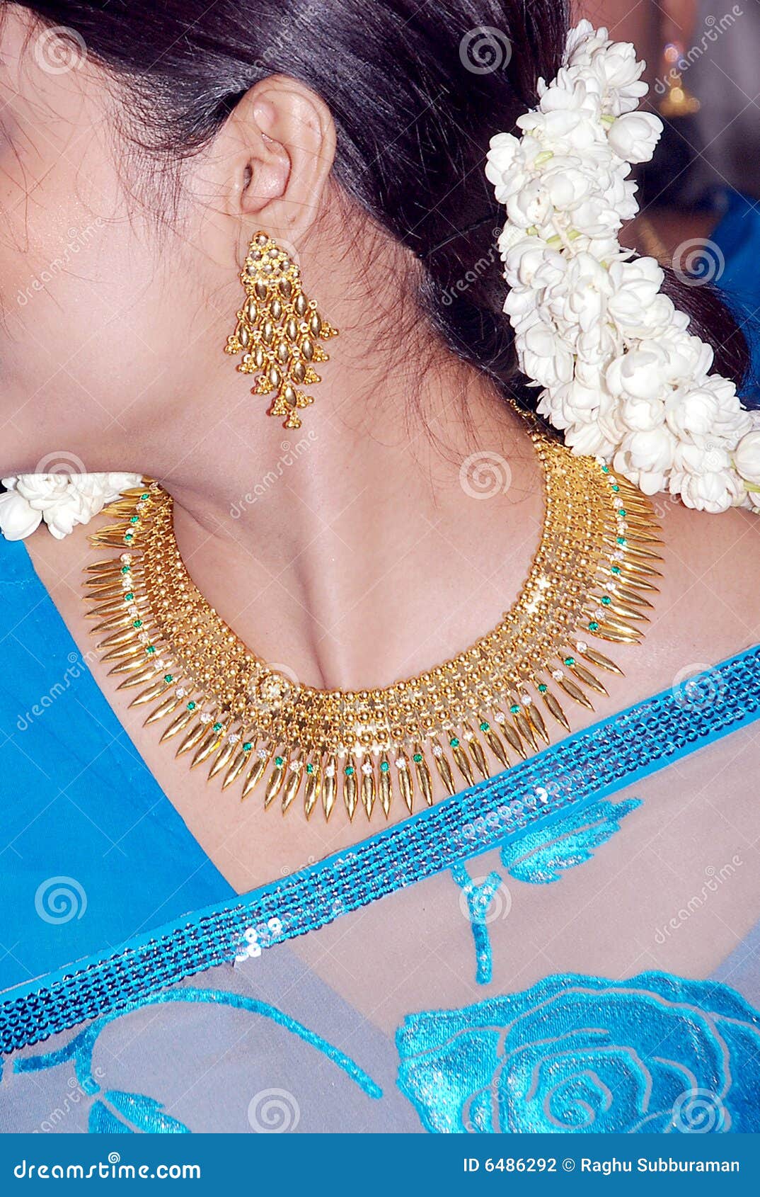 South indian lady stock illustration. Illustration of beauty - 6486292