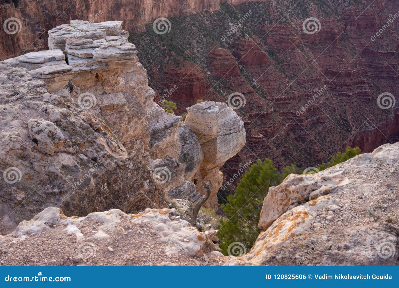 South Kaibab Trailhead Area Rocks Stock Photo - Image of outdoor, point ... South Kaibab Trailhead Area Rocks Stock Photo - Image of outdoor, point ...