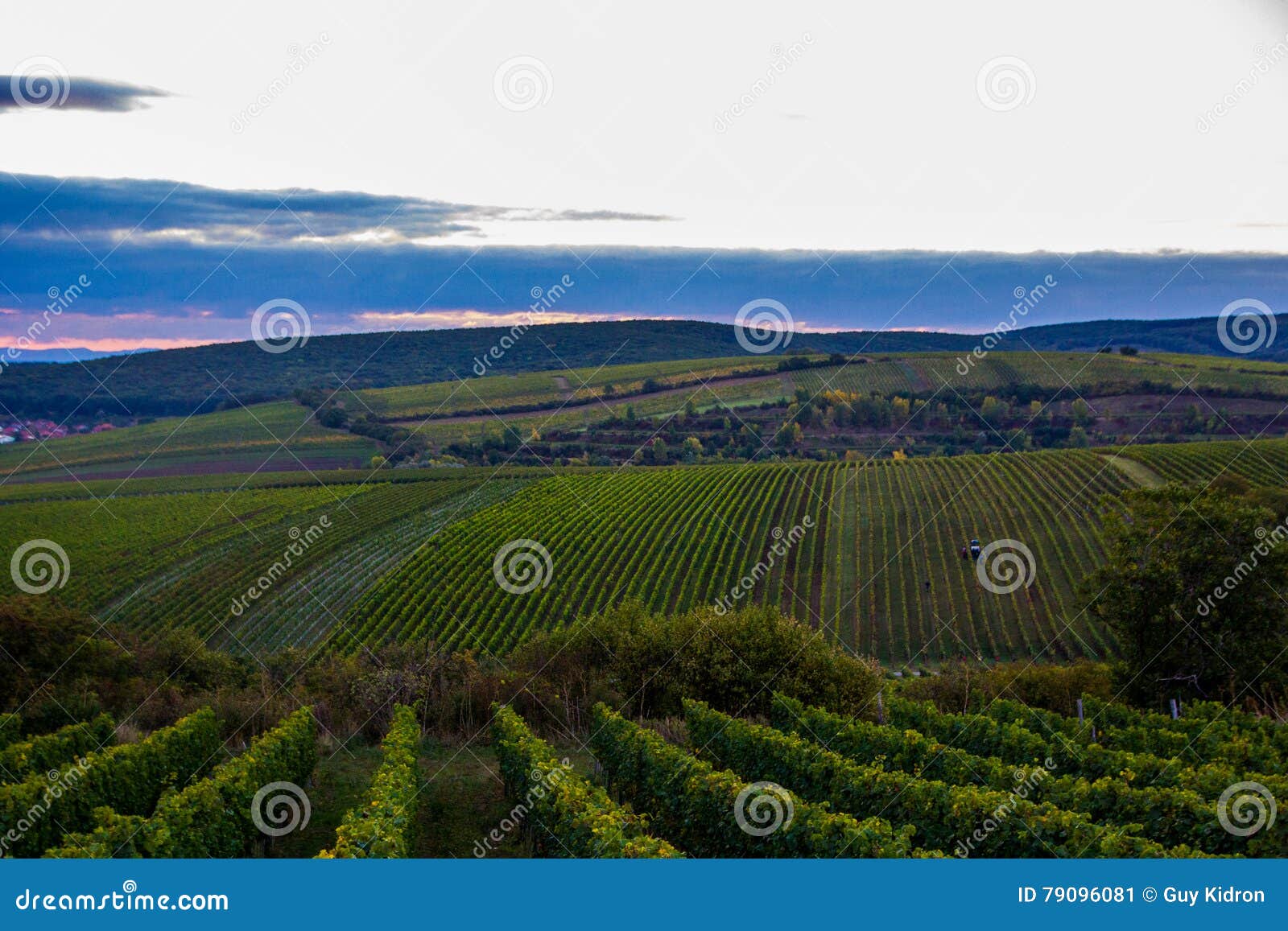 South Moravia stock image. Image of republic, wine, south - 79096081