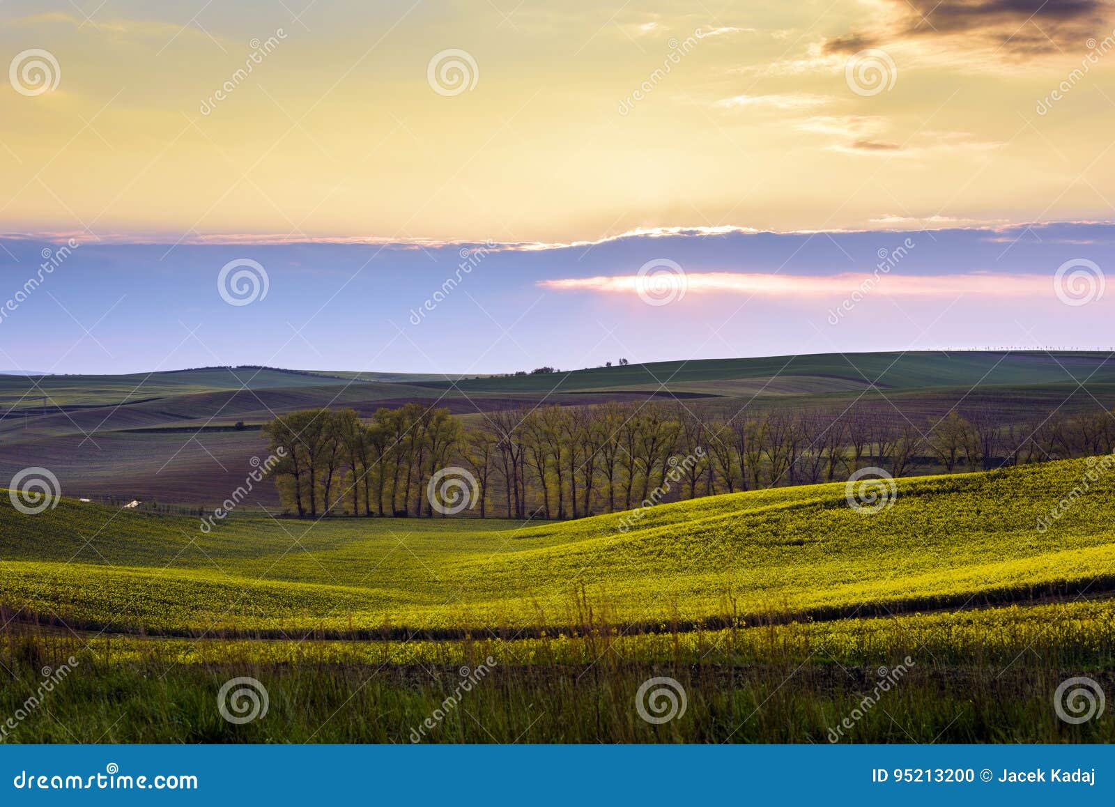 South Moravia Landscape and Farmland Stock Photo - Image of ecology ...
