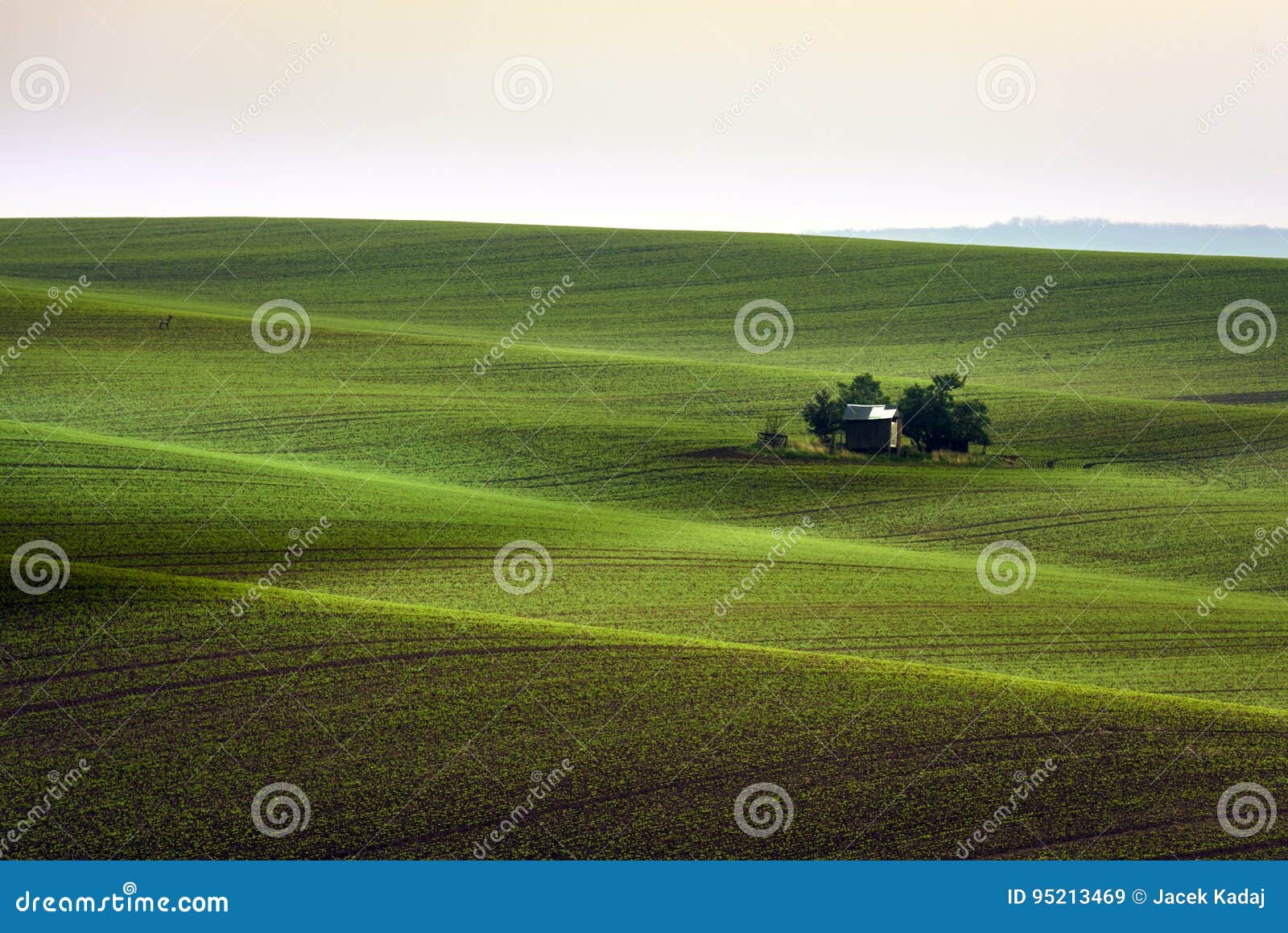 South Moravia landscape stock image. Image of ecological - 95213469