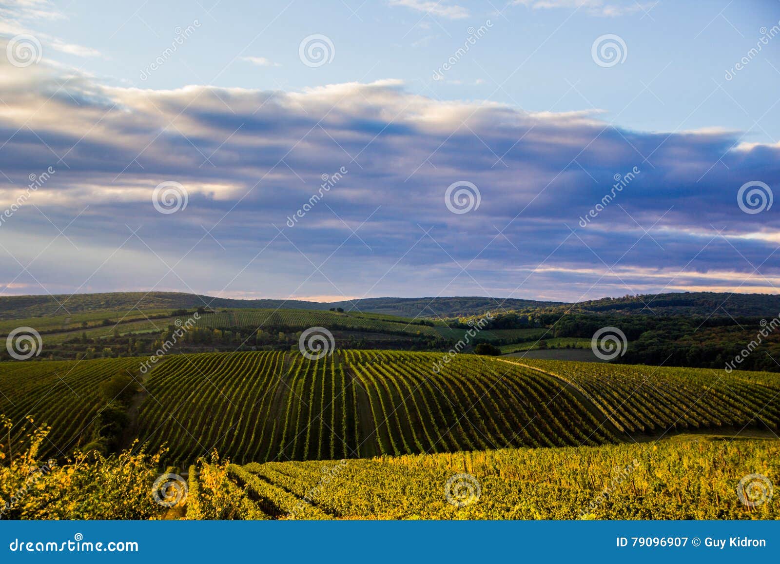 South Moravia- Mikulov Area Stock Image - Image of horizon, republic ...