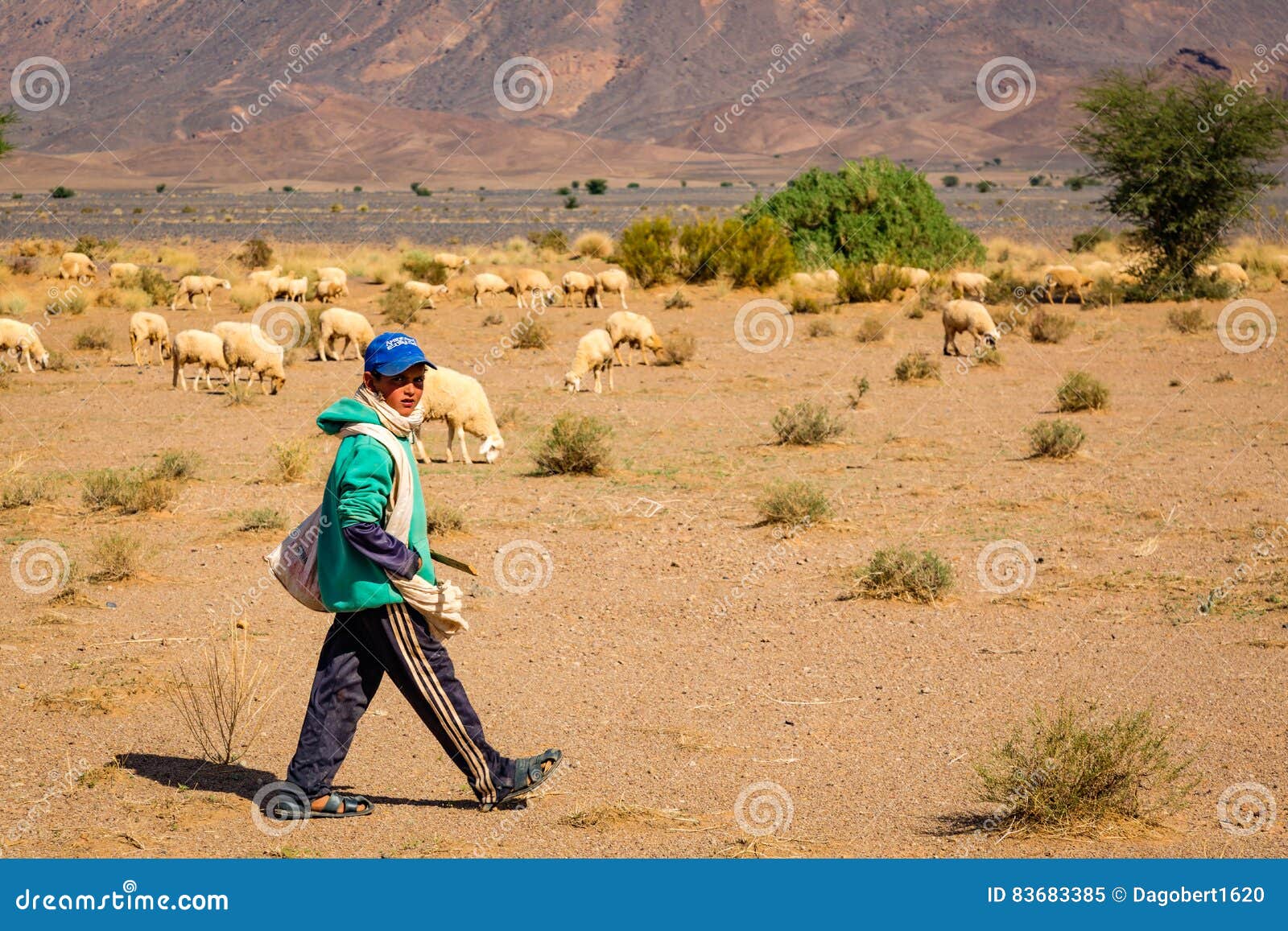 South Morocco - November 04, 2016: Young Moroccan Shepherd Editorial ...