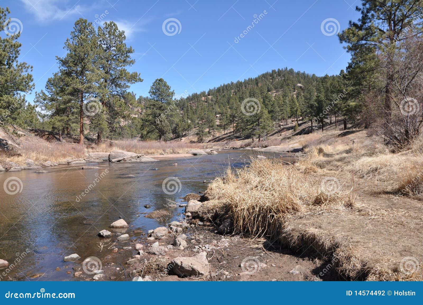 South Platte River stock photo. Image of river, scenery - 14574492