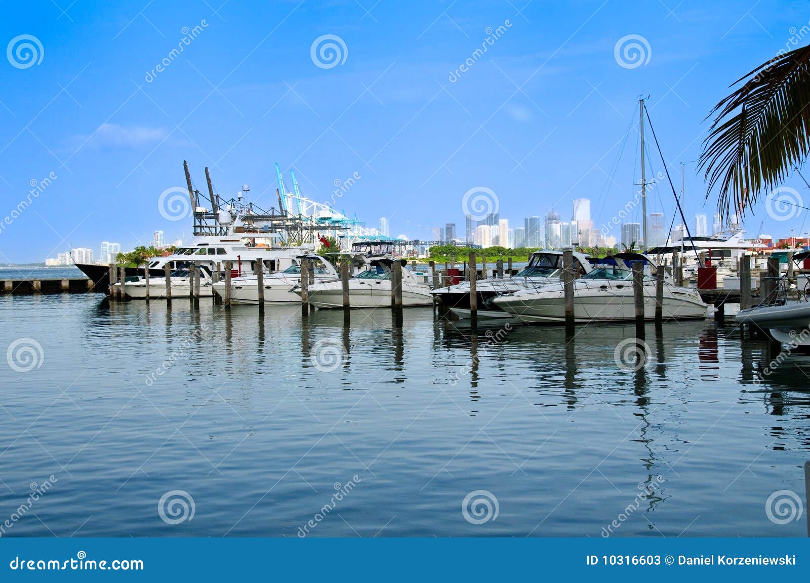 South Pointe Marina stock image. Image of sightseeing - 10316603
