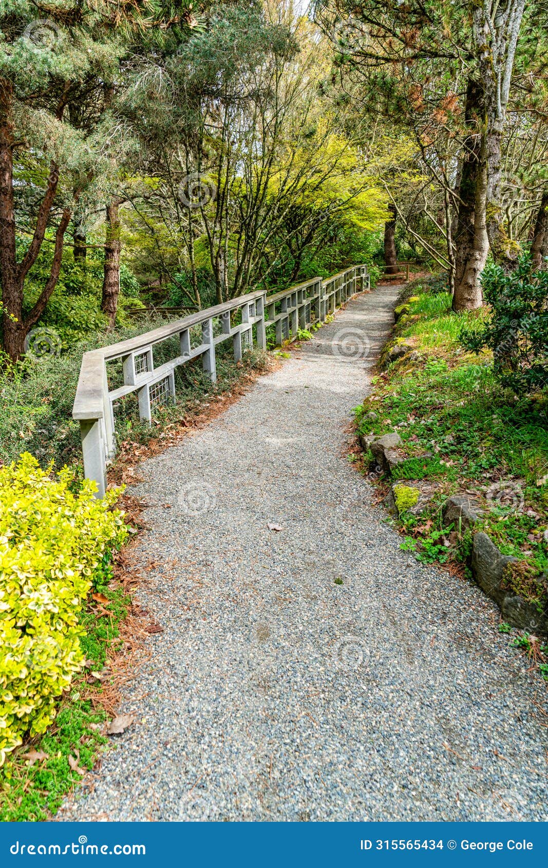 South_Seattle_Garden_Path 2 Stock Photo - Image of trees, state: 315565434