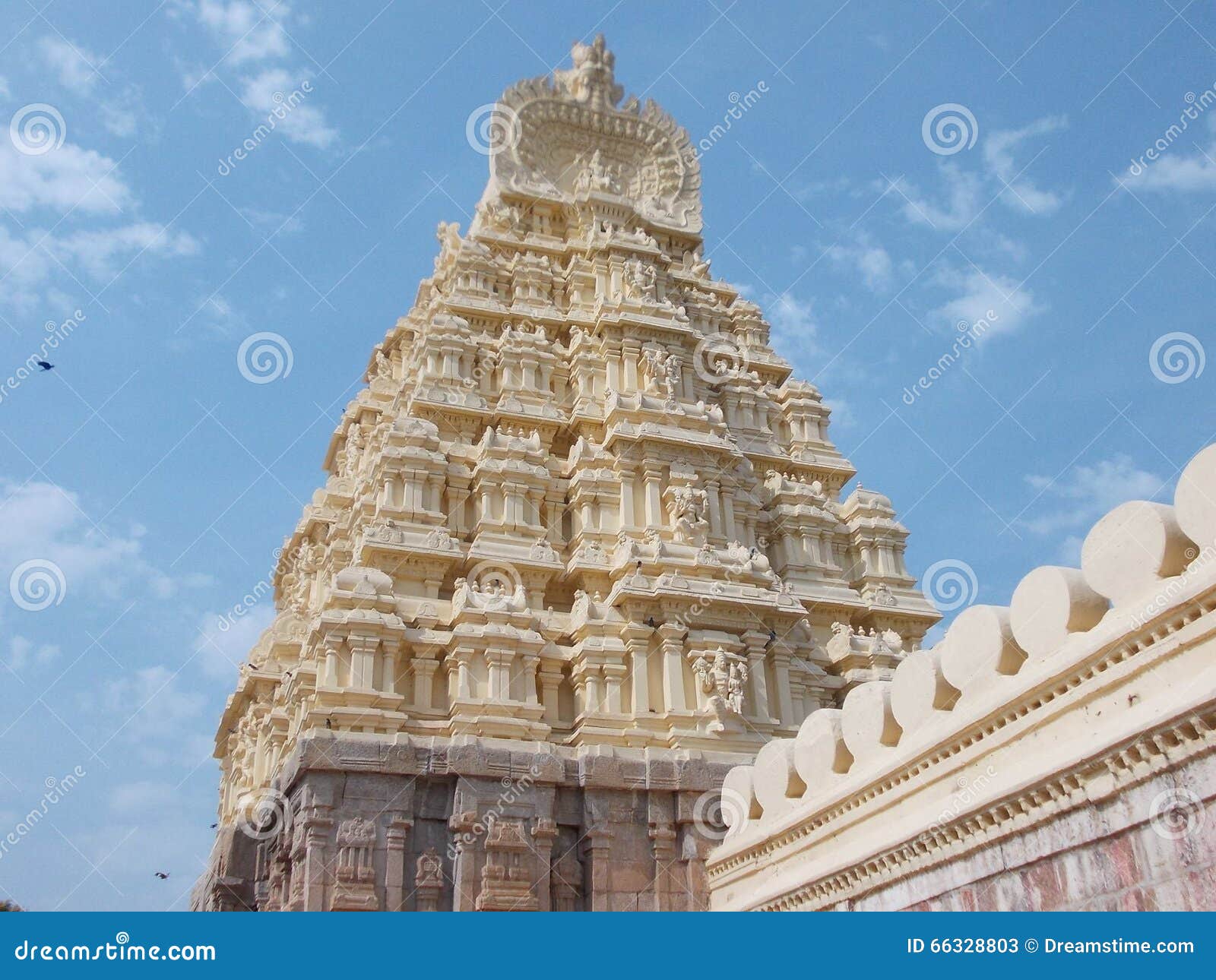South Temple stock image. Image of south, india, vilage - 66328803