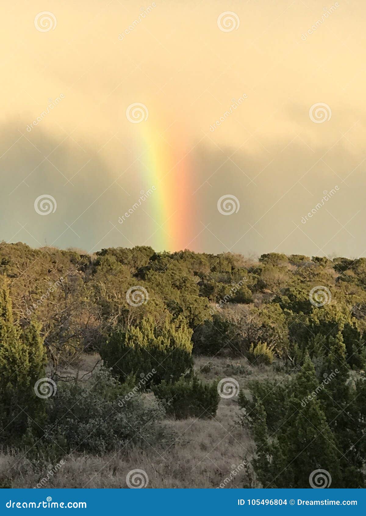 South Texas rainbow stock photo. Image of texas, south - 105496804