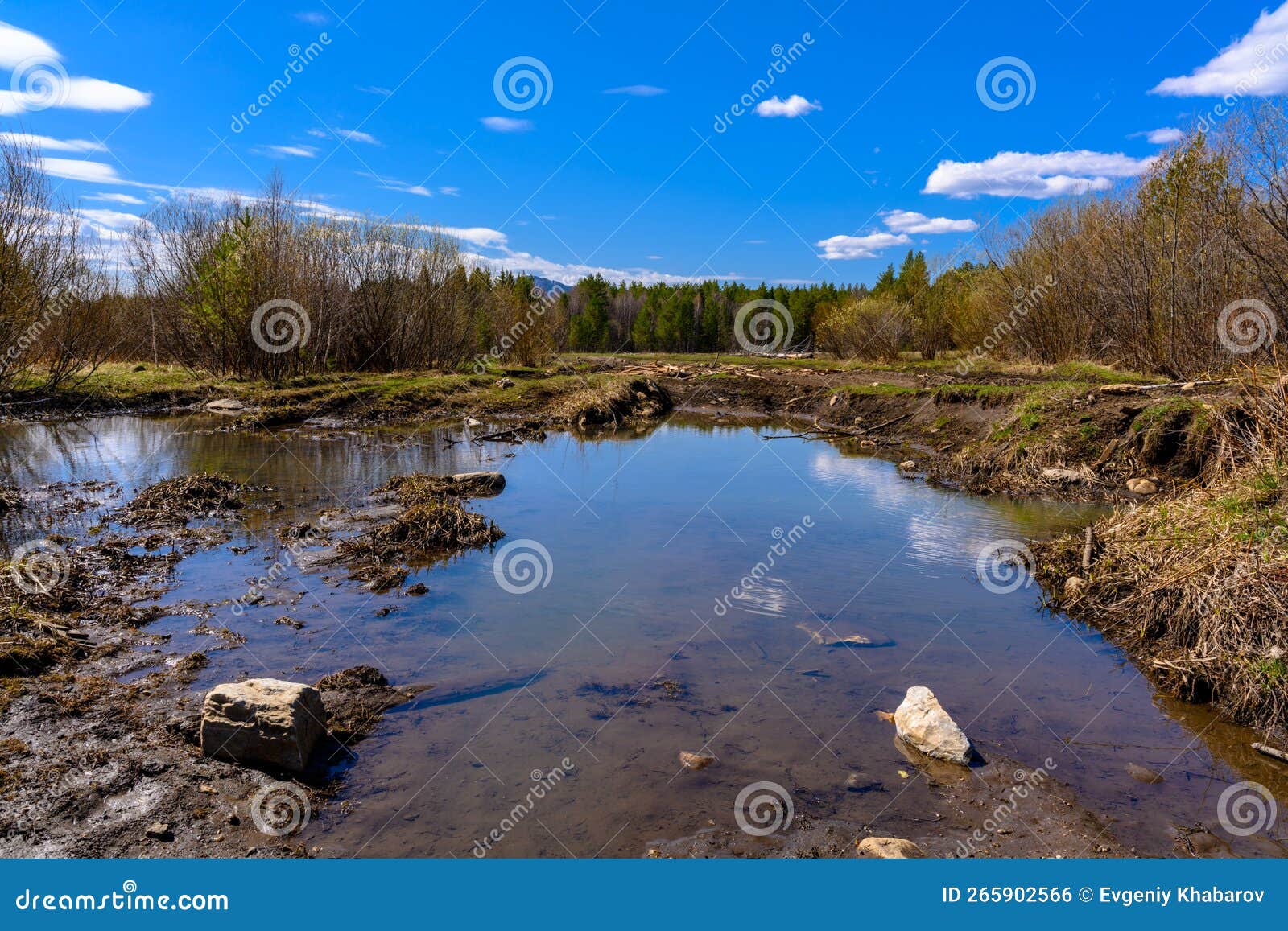 South Ural Forest with a Unique Landscape, Vegetation and Diversity of ...