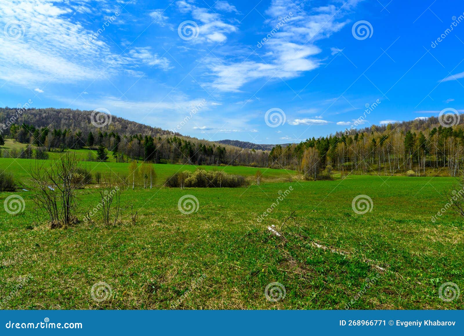 South Ural Forest with a Unique Landscape, Vegetation and Diversity of ...
