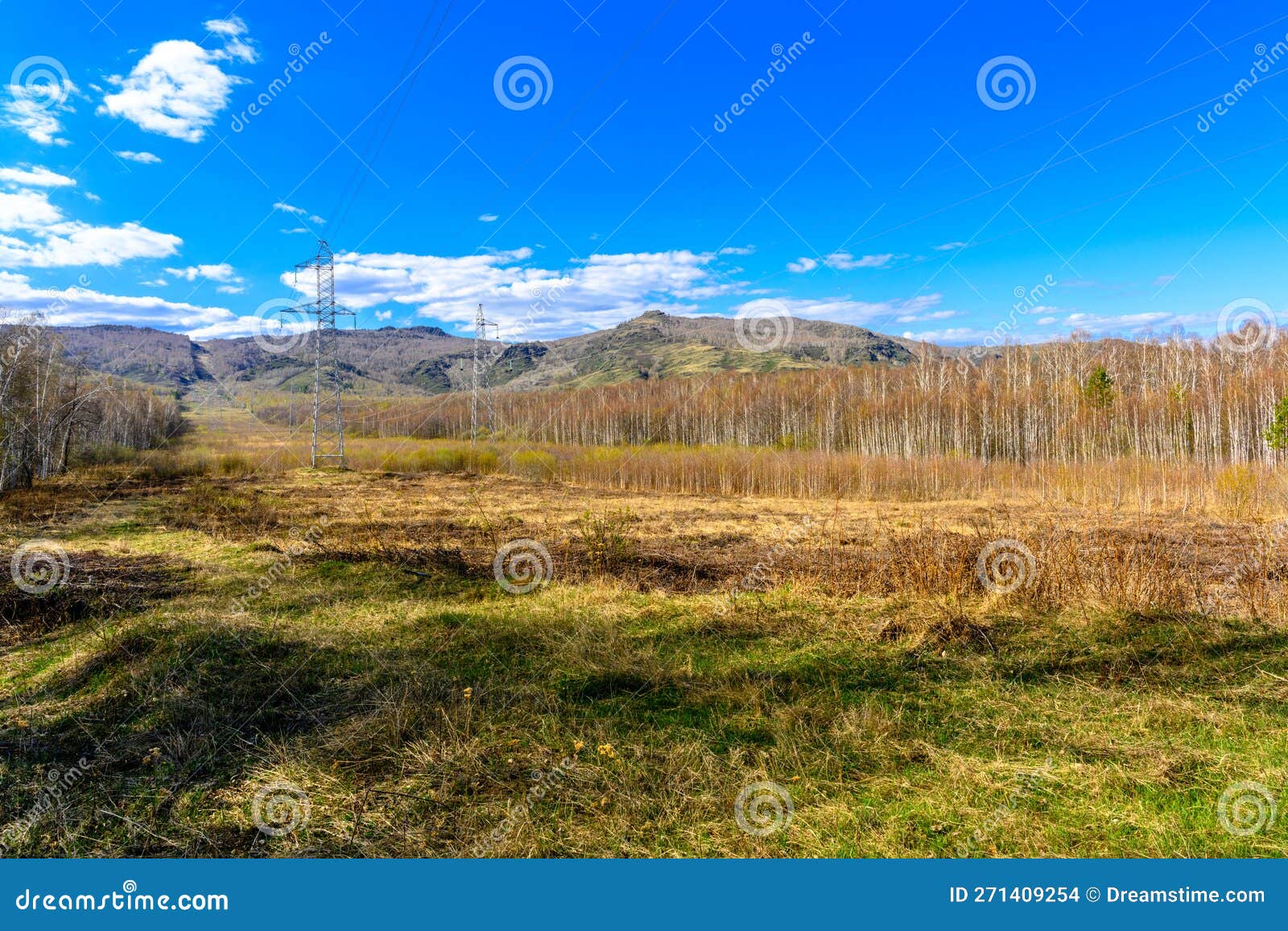 South Ural Forest with a Unique Landscape, Vegetation and Diversity of ...