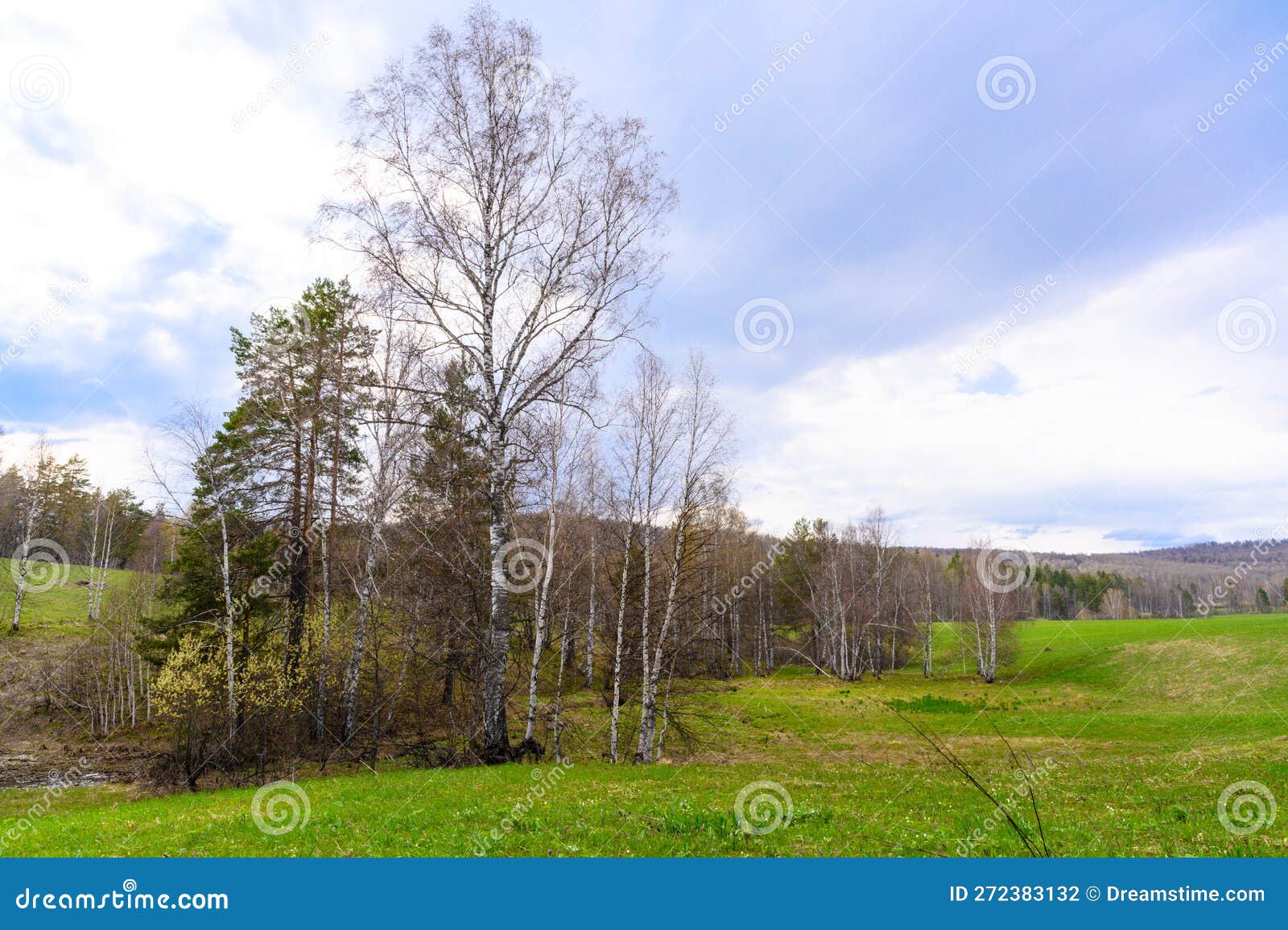 South Ural Forest with a Unique Landscape, Vegetation and Diversity of ...