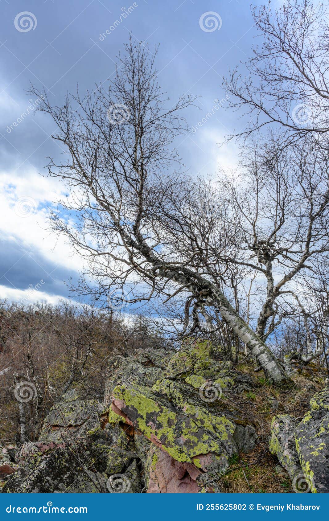 South Ural Mountains with a Unique Landscape, Vegetation and Diversity ...