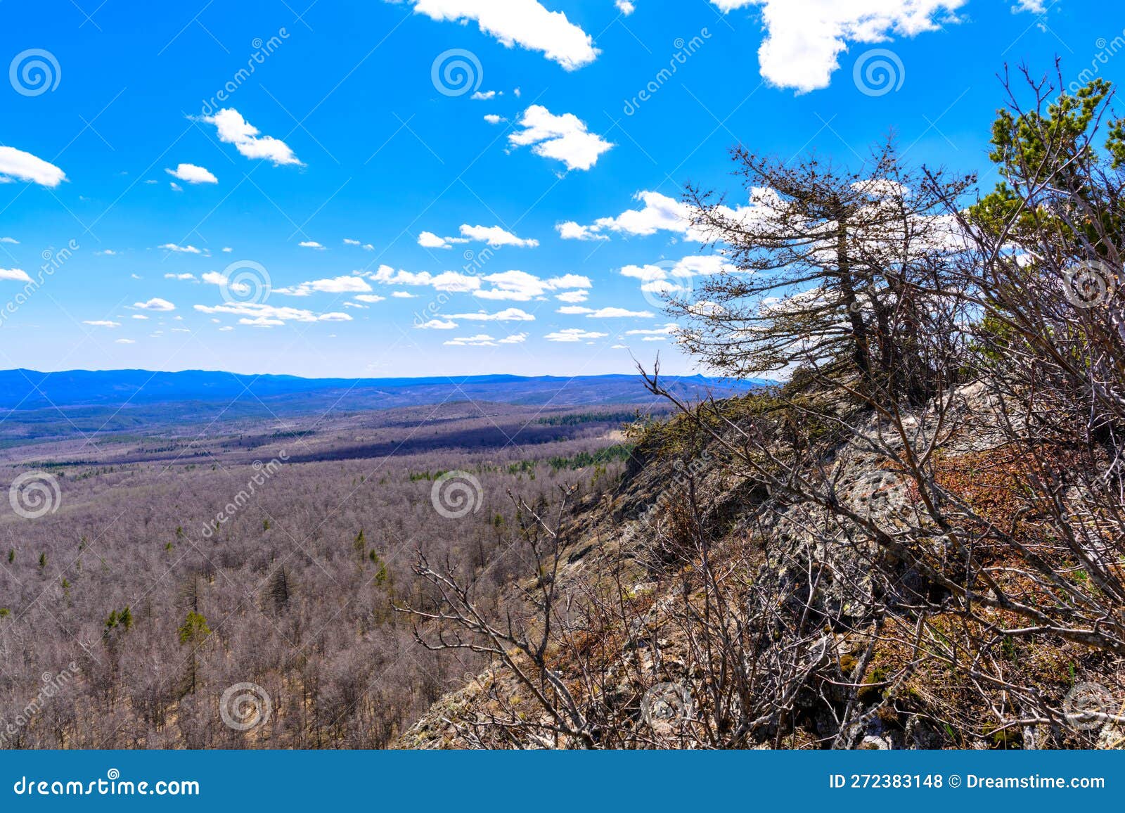 South Ural Mountains with a Unique Landscape, Vegetation and Diversity ...