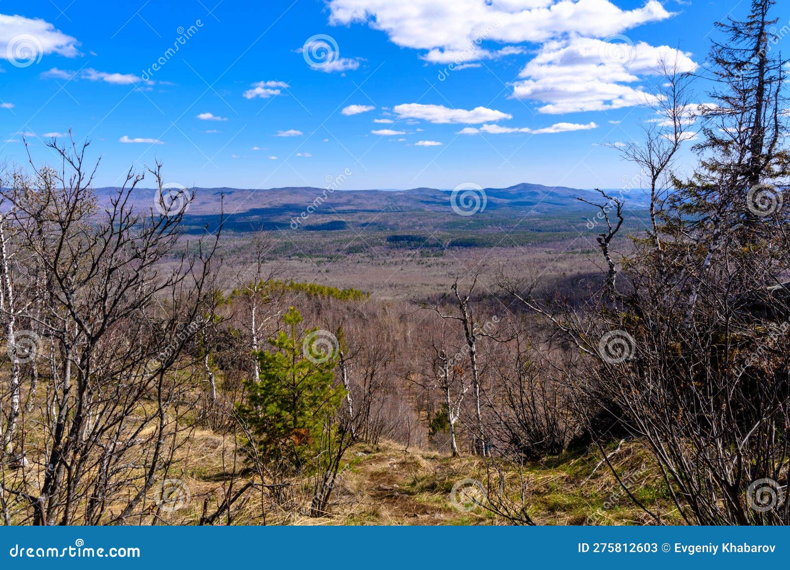 South Ural Mountains with a Unique Landscape, Vegetation and Diversity ...