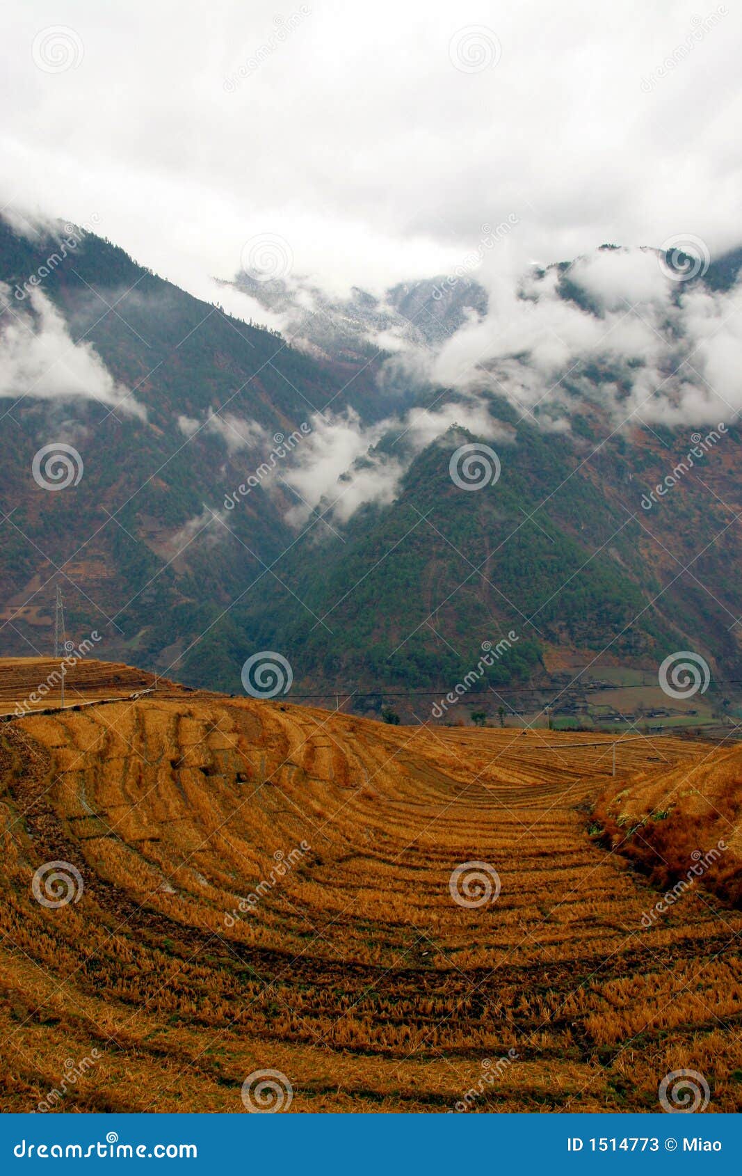 South-West China stock image. Image of golden, journey - 1514773