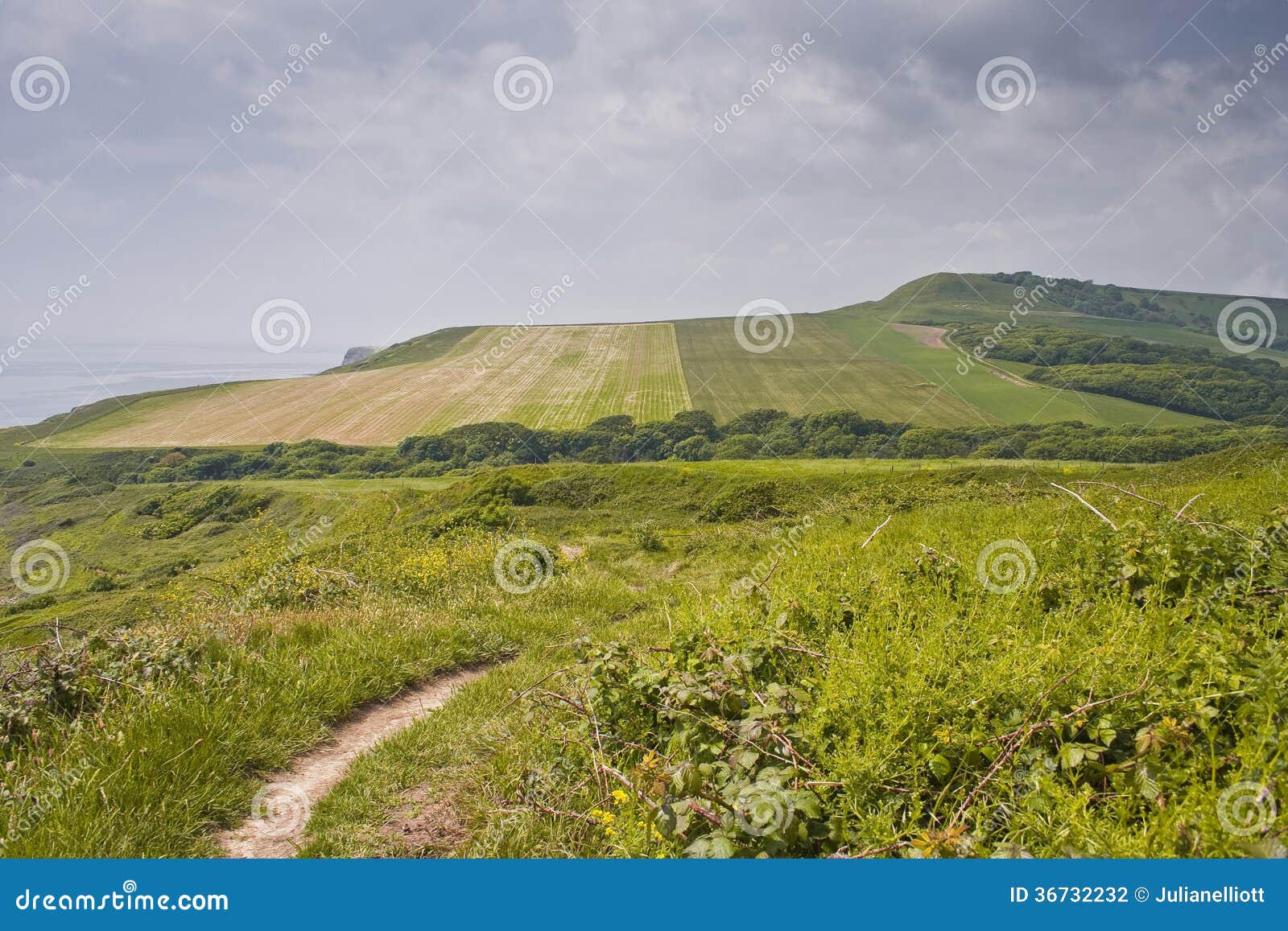South West Coast Path stock photo. Image of path, west - 36732232