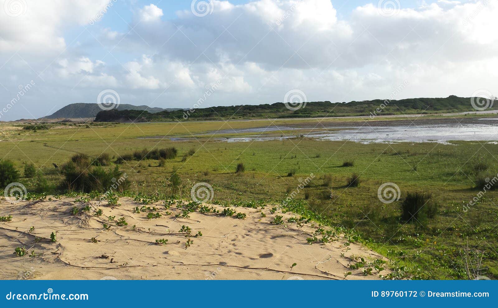 Southafrican Countryside with a Lake Stock Photo - Image of rural ...