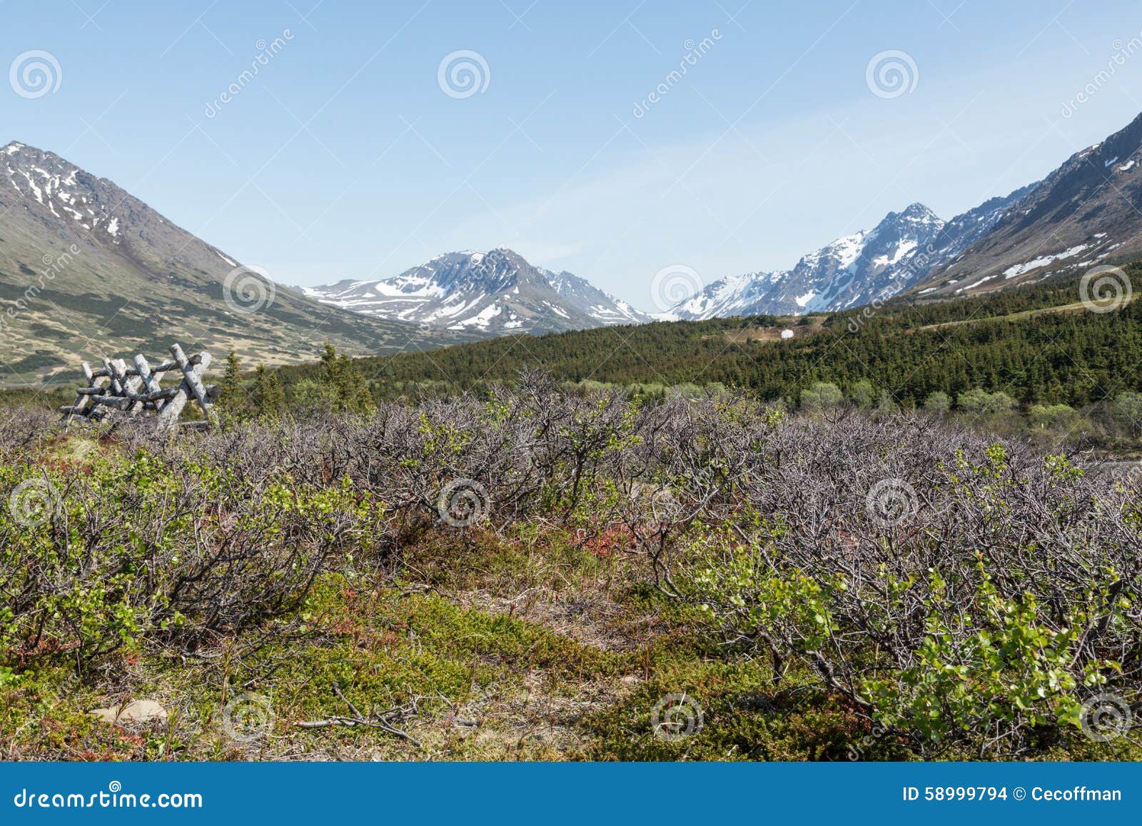 Southcentral Alaskan Landscape Stock Photo - Image of vacation, alaska ...