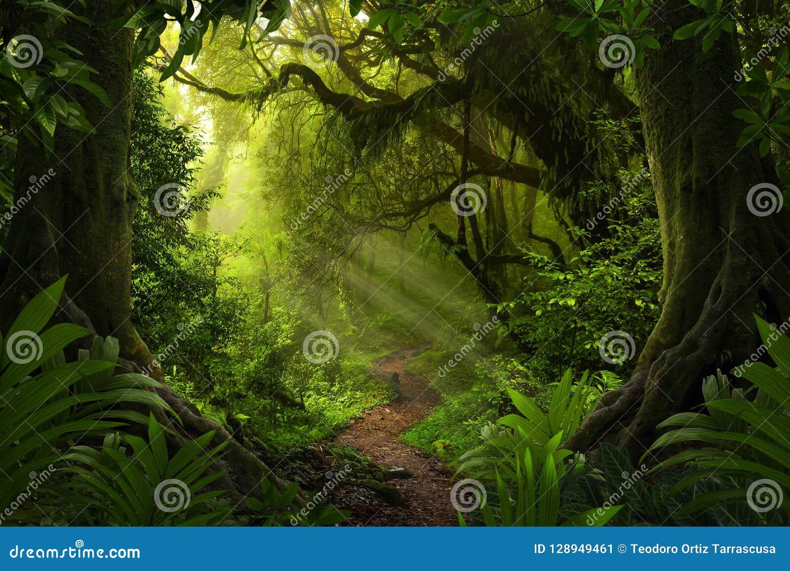 Southeast Asian Deep Jungle Stock Image - Image of meditation, nature ...
