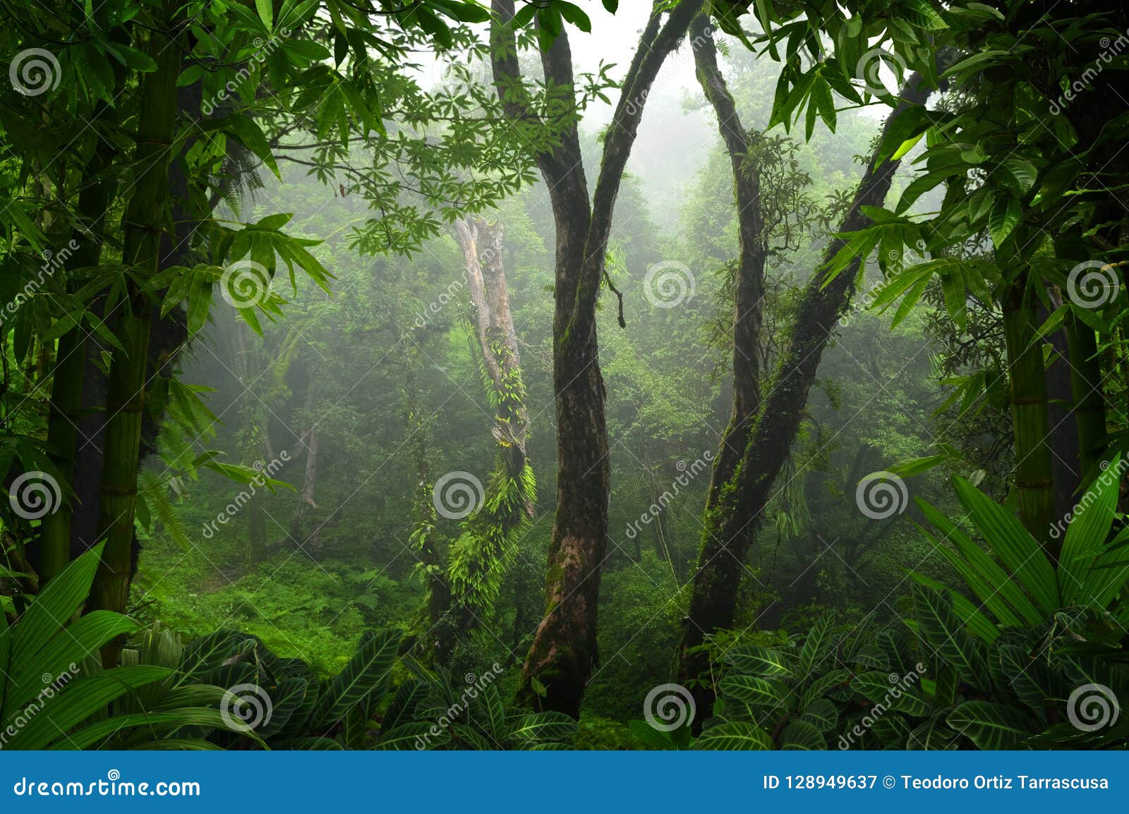 Deep Jungle Walk Waterfall Adventurer Man Explorer Artificial Railing ...