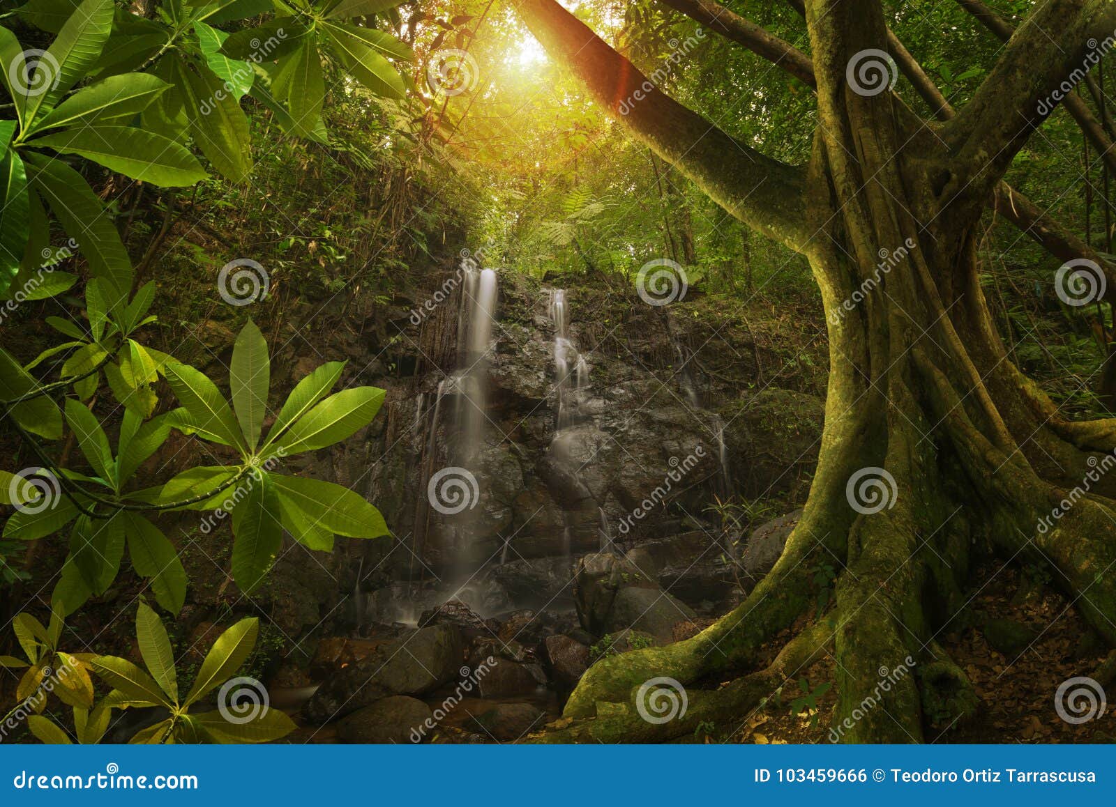 Southeast Asian Jungle with Waterfall Stock Photo - Image of green ...